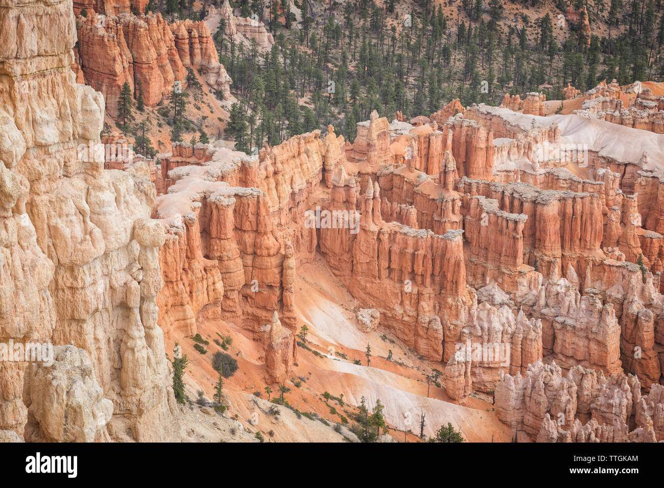 Sand Columns in Bryce Canyon Valley Stock Photo - Alamy