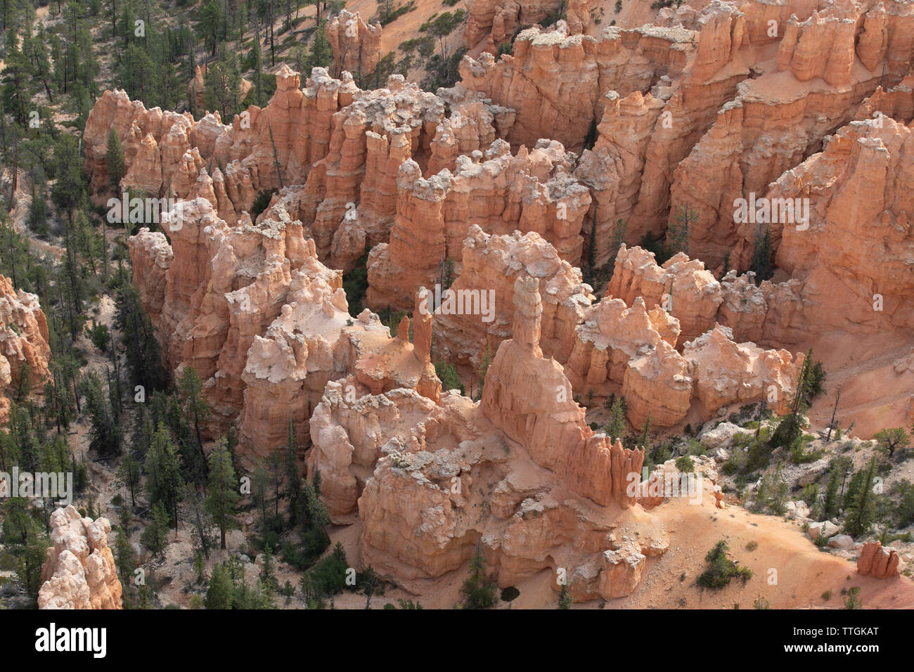Sand Columns in Bryce Canyon Valley Stock Photo - Alamy