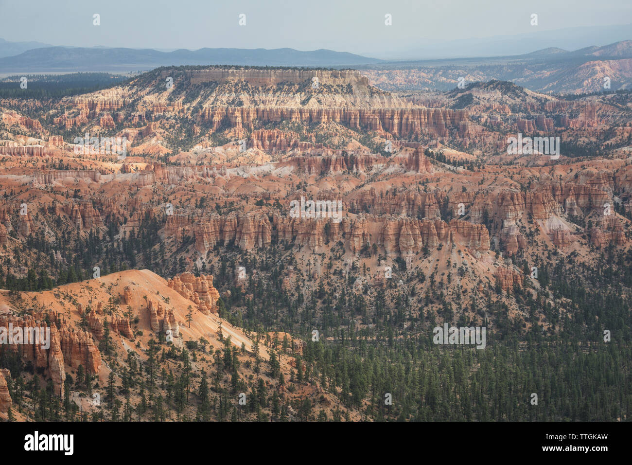 Sand Columns in Bryce Canyon Valley Stock Photo - Alamy