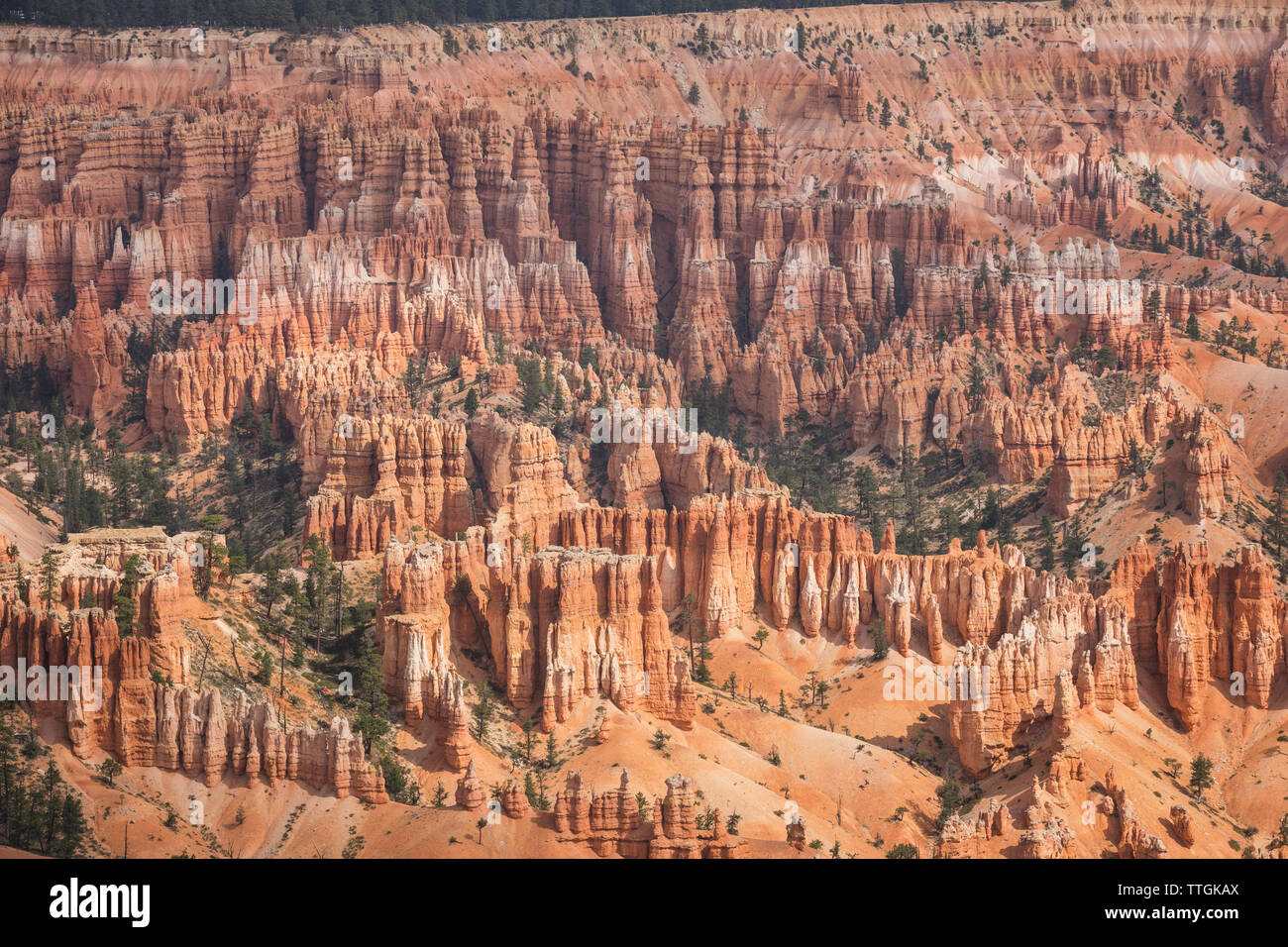 Sand Columns in Bryce Canyon Valley Stock Photo - Alamy