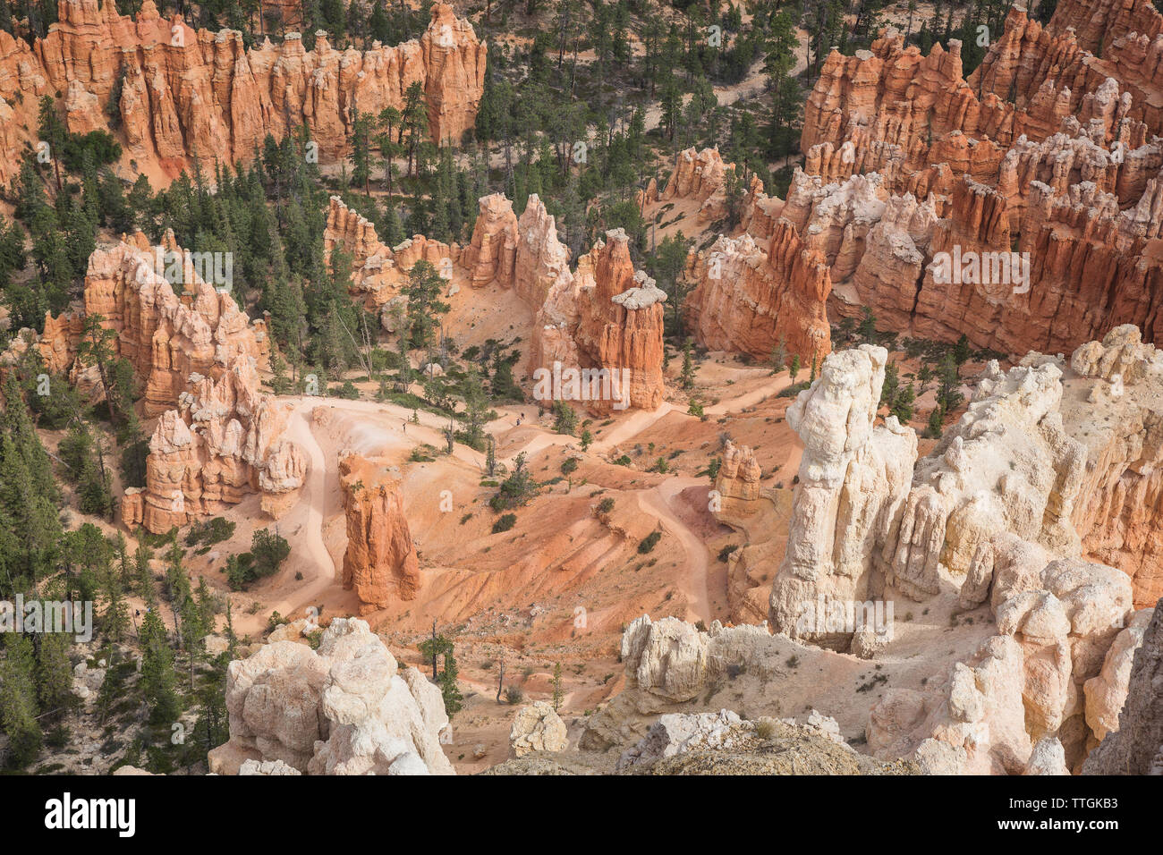 Sand Columns in Bryce Canyon Valley Stock Photo - Alamy