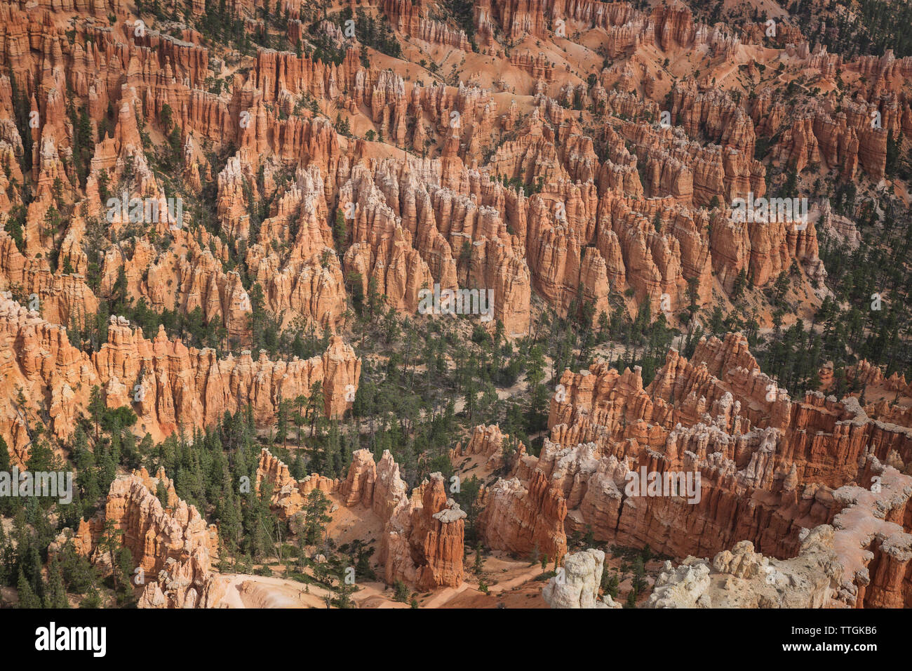 Sand Columns in Bryce Canyon Valley Stock Photo - Alamy