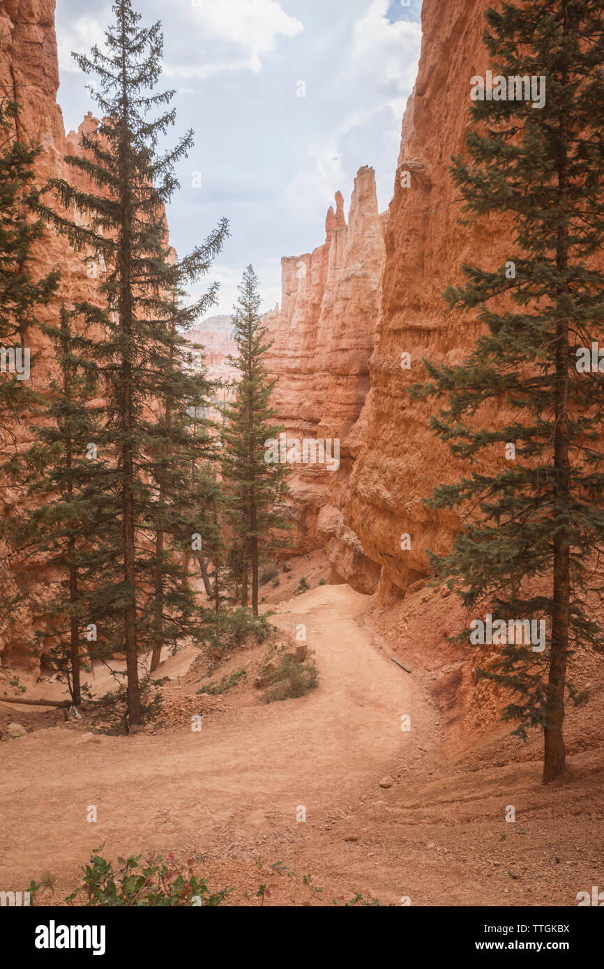 Inspiration point trail in Bryce Canyon Stock Photo - Alamy