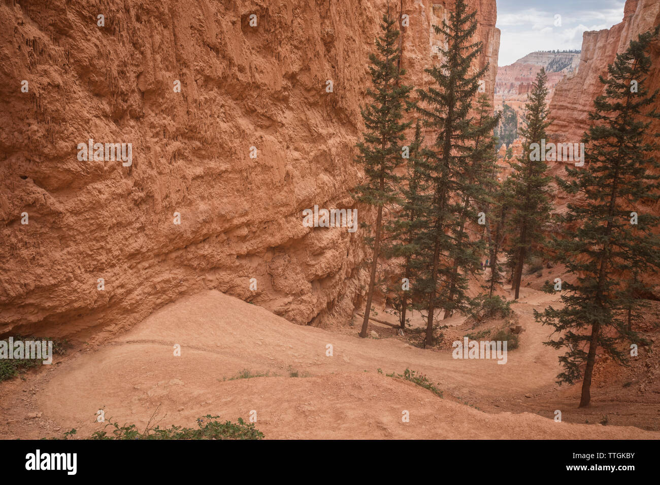 Inspiration point trail in Bryce Canyon Stock Photo - Alamy