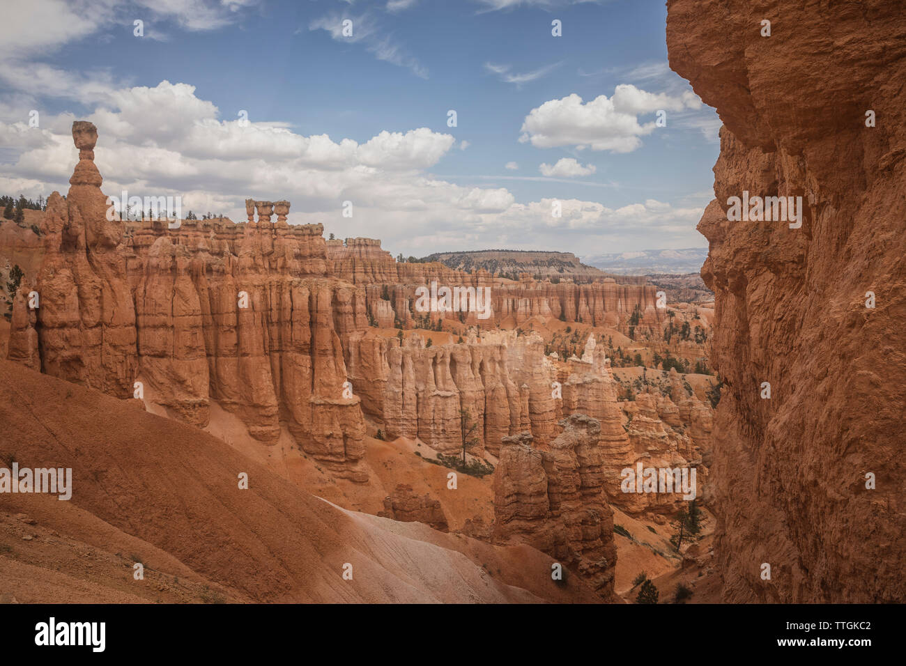 Sand Columns in Bryce Canyon Valley Stock Photo - Alamy
