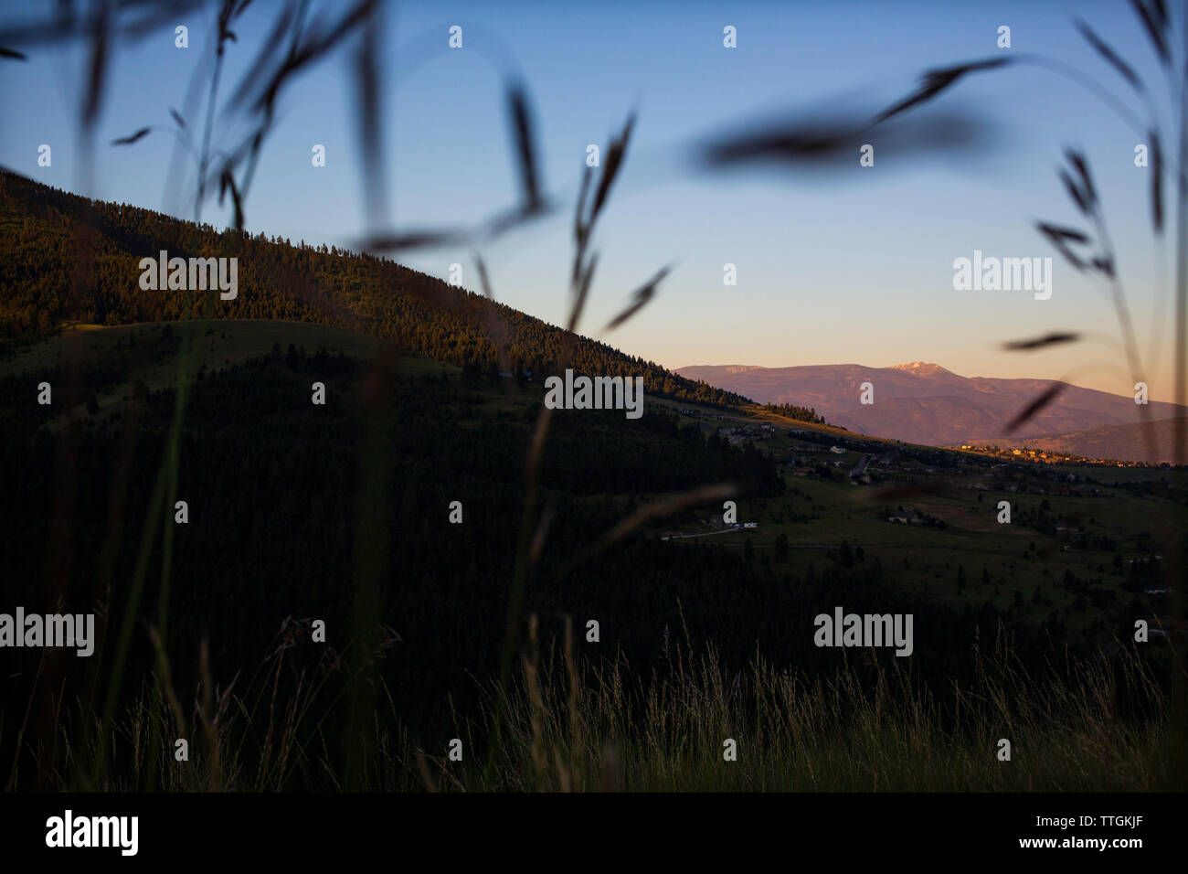 Lolo Peak outside Missoula, Montana glows pink at sunrise Stock Photo ...