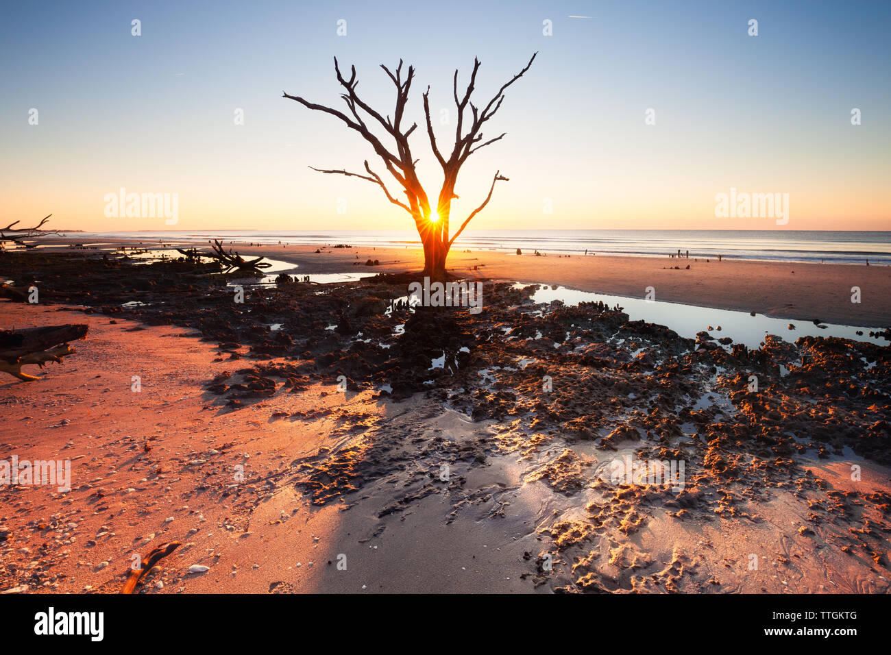Usa botany bay plantation hi-res stock photography and images - Alamy