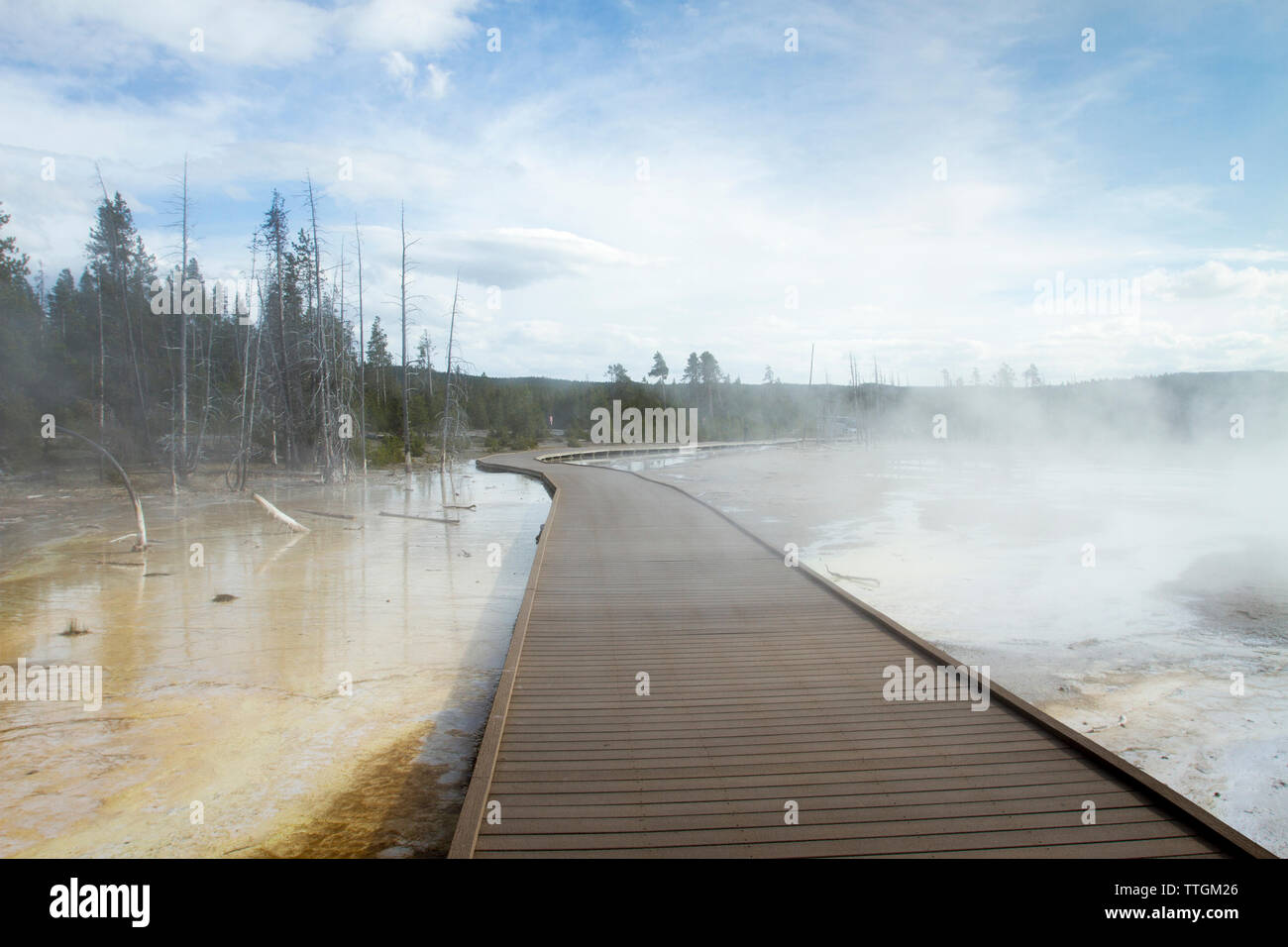 Mammoth hot springs and boardwalk hi-res stock photography and images ...
