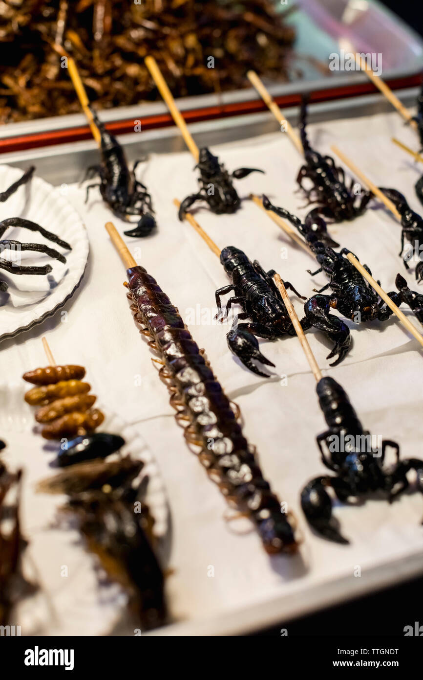 Insects for sale hi-res stock photography and images - Alamy