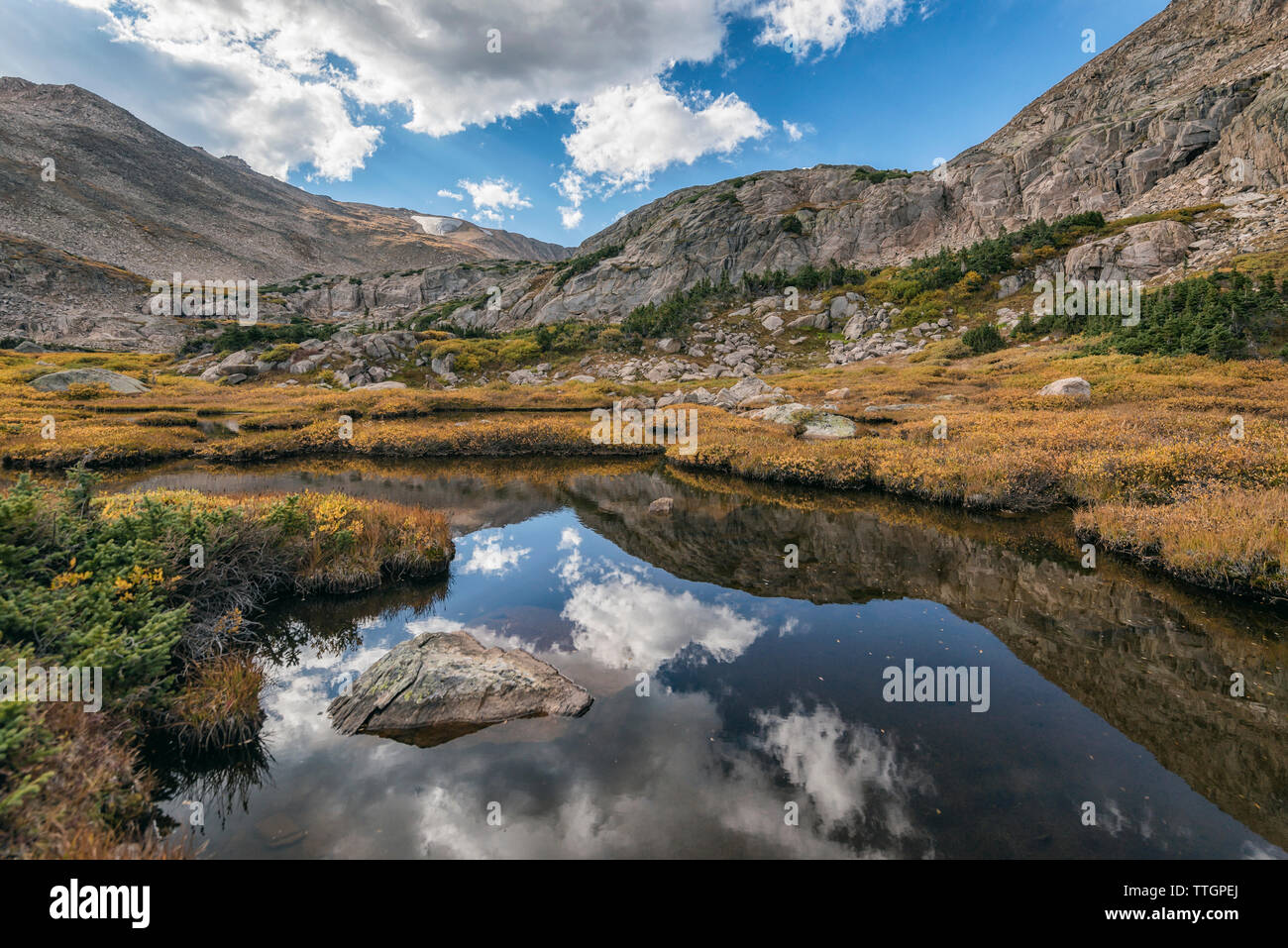 Fall tundra in the Indian Peaks Wilderness Stock Photo - Alamy