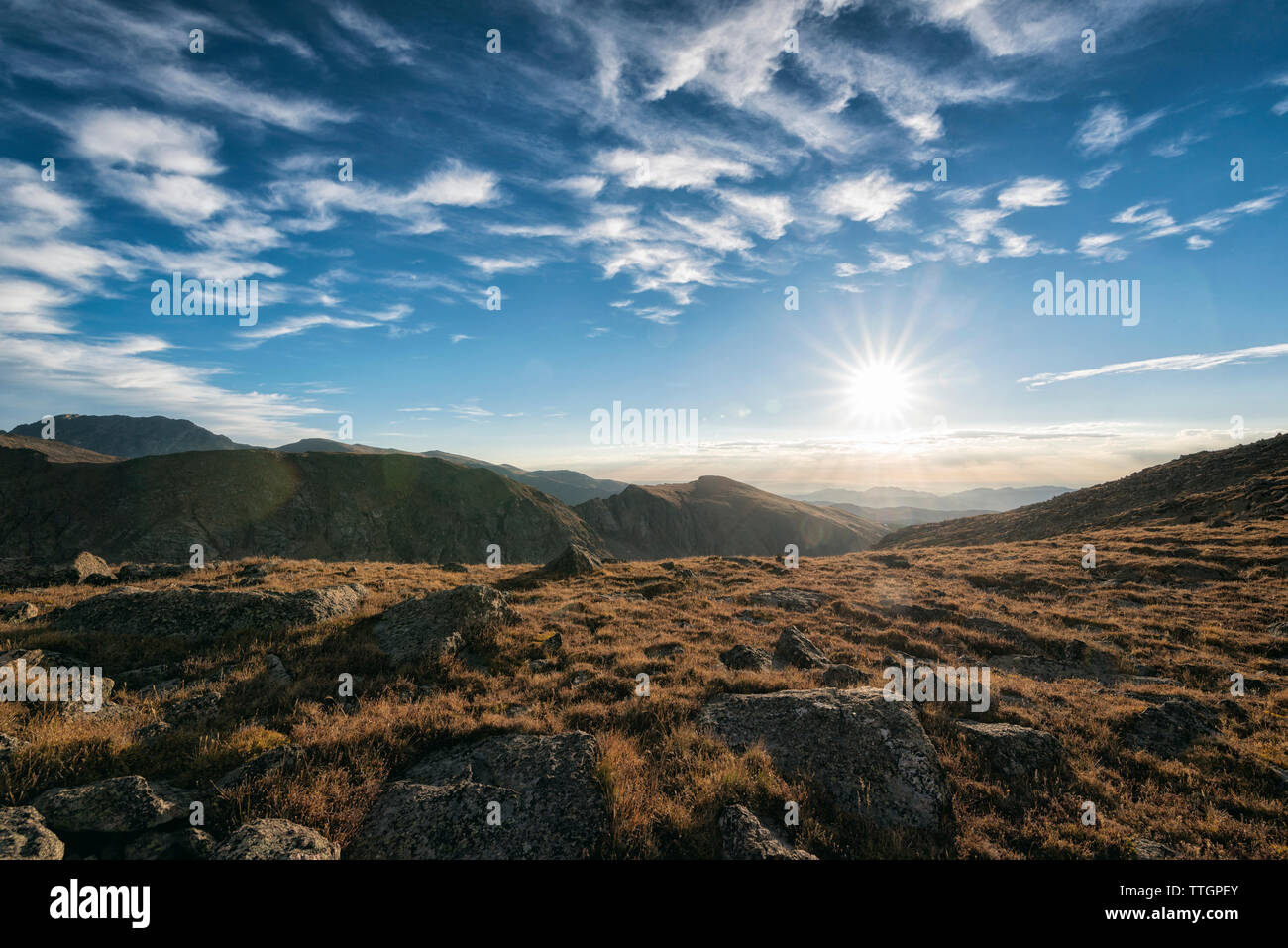 Tundra above tree line hi-res stock photography and images - Alamy