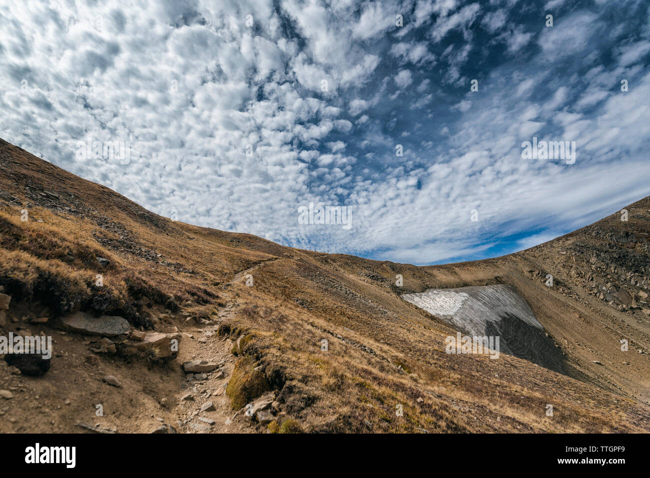 Alpine tundra in the Indian Peaks Wilderness Stock Photo - Alamy