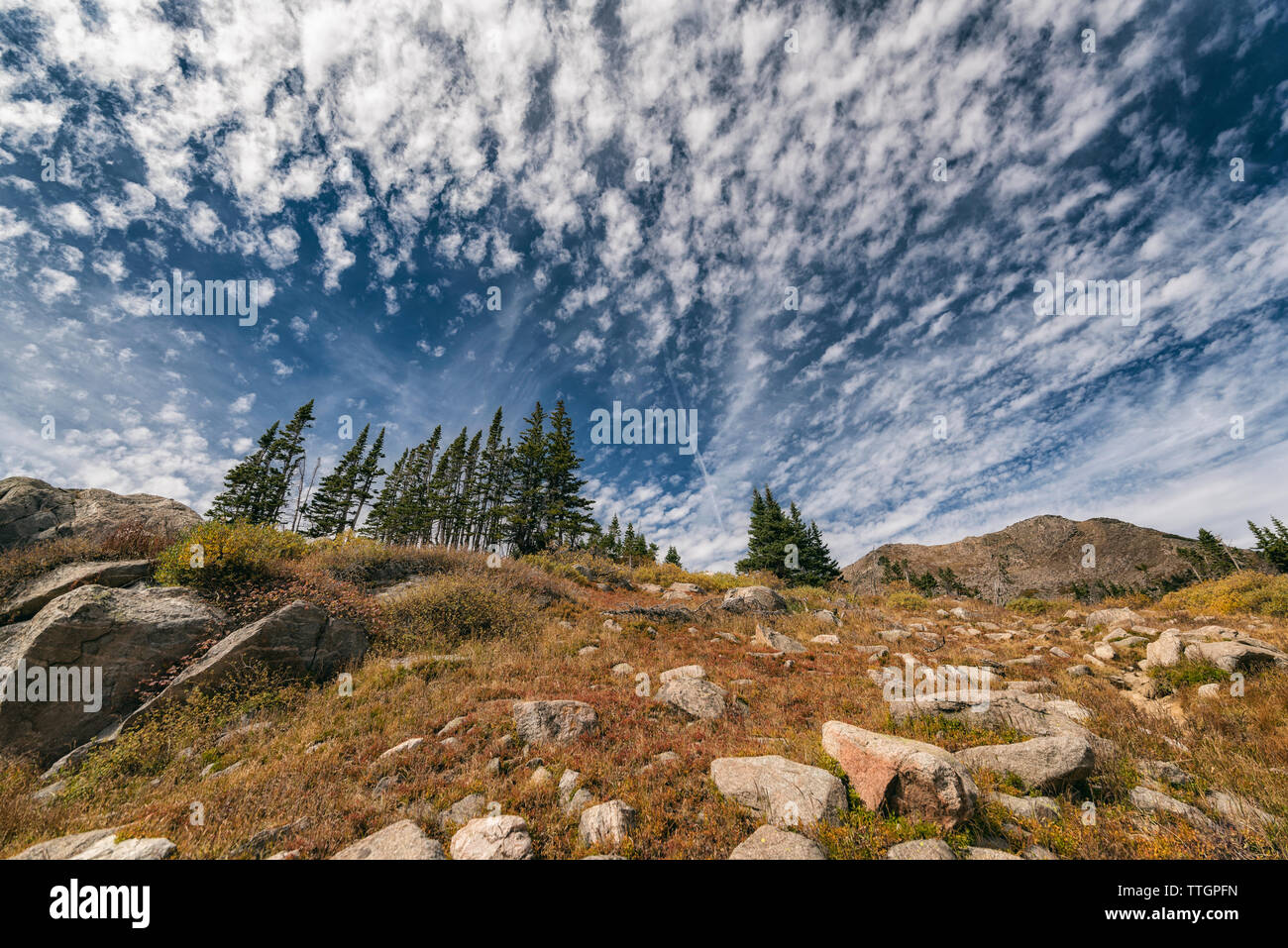 Alpine tundra in the Indian Peaks Wilderness Stock Photo - Alamy