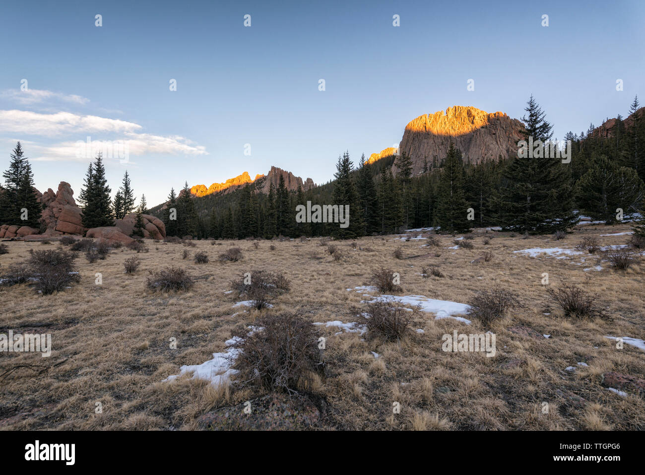 Curdy hi-res stock photography and images - Alamy