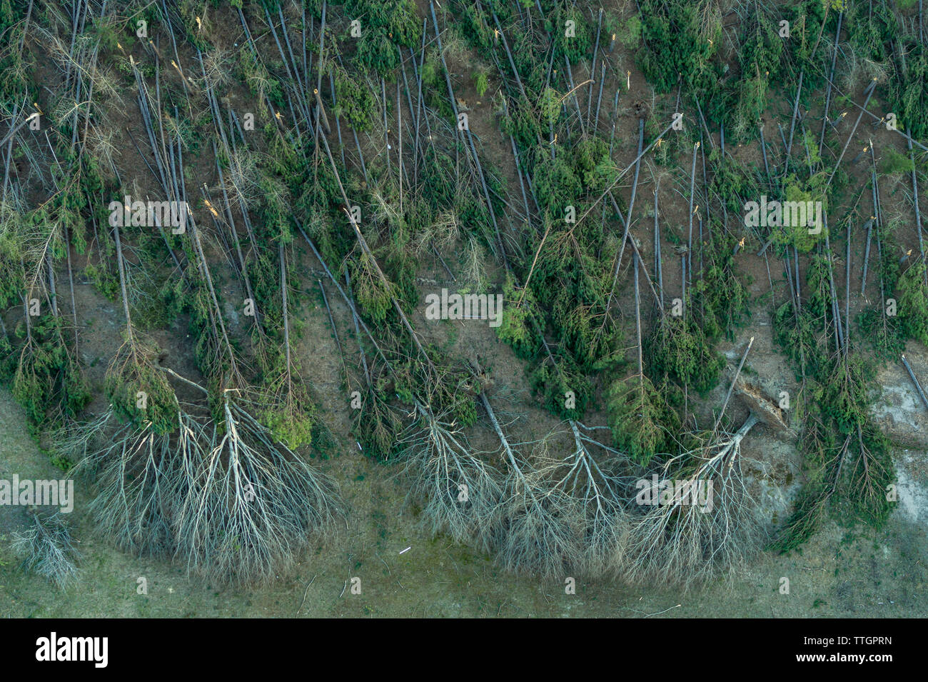 Damage from EF4 Tornado on March 3, 2019 in Beauregard, Alabama Stock ...