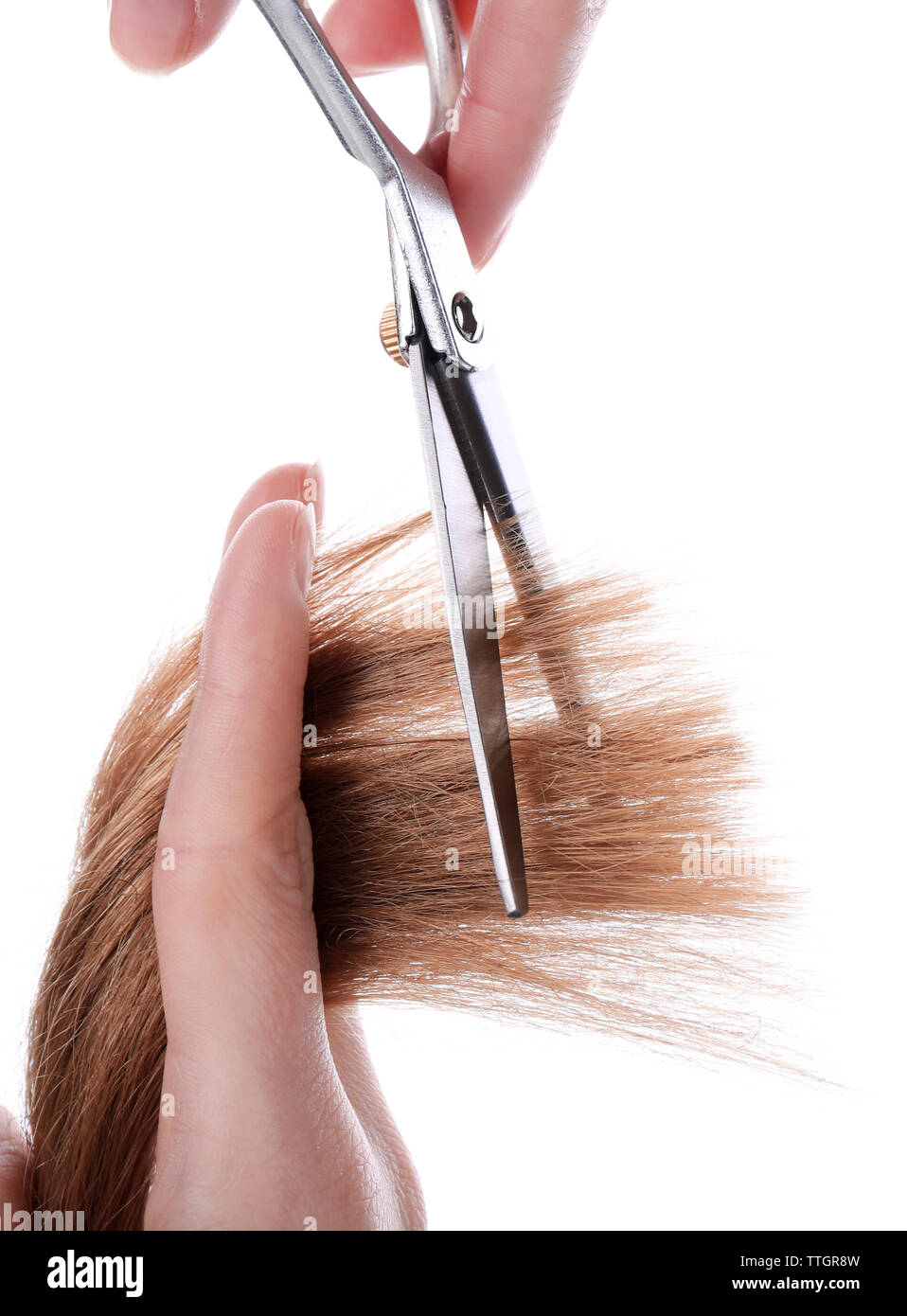 Hairdresser's hands with scissors hi-res stock photography and images ...