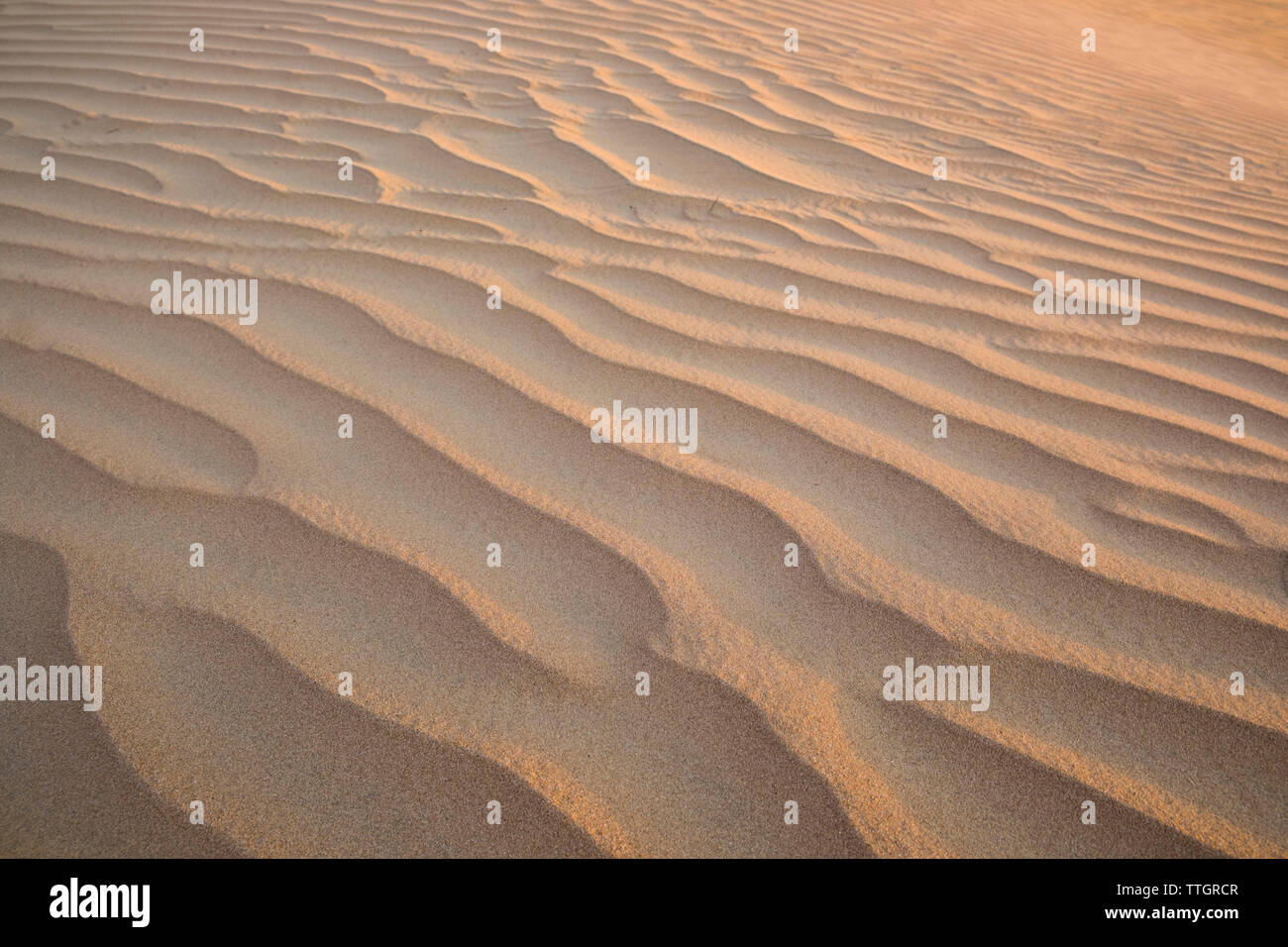 Desert wave hi-res stock photography and images - Alamy