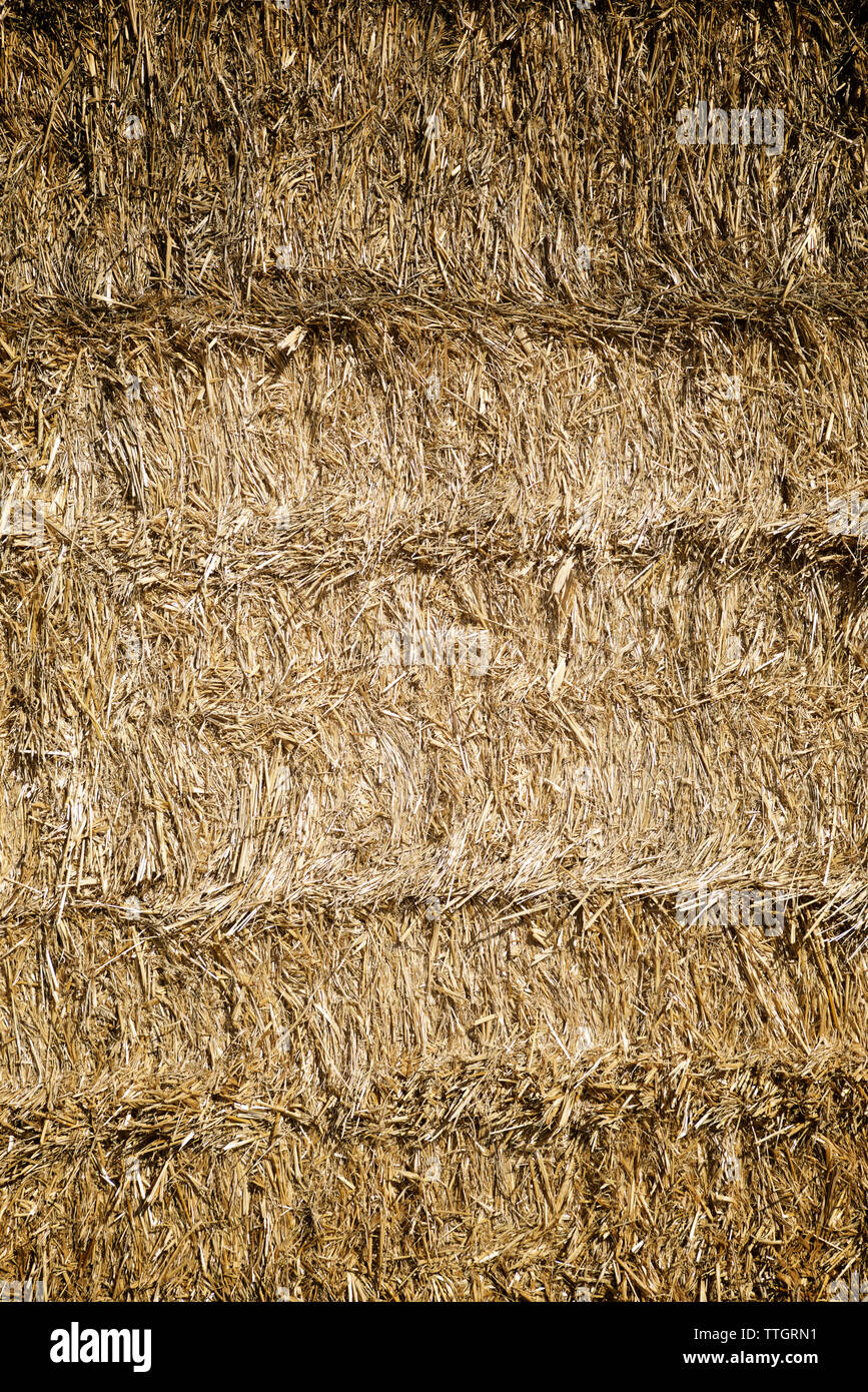 Close-up of hay bale at farm Stock Photo - Alamy