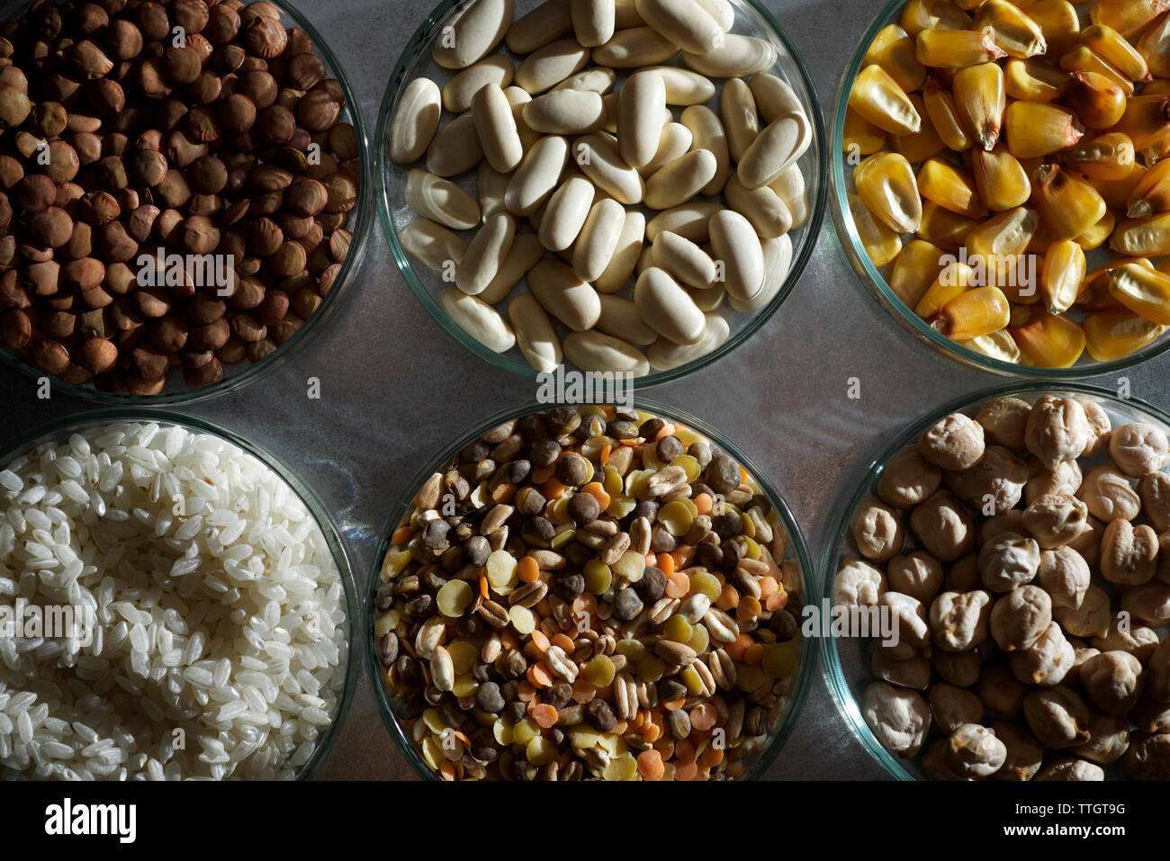 Seeds in petri dishes Stock Photo - Alamy