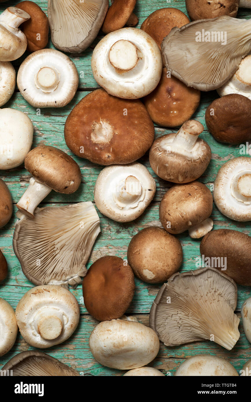 Mushrooms cook hi-res stock photography and images - Alamy