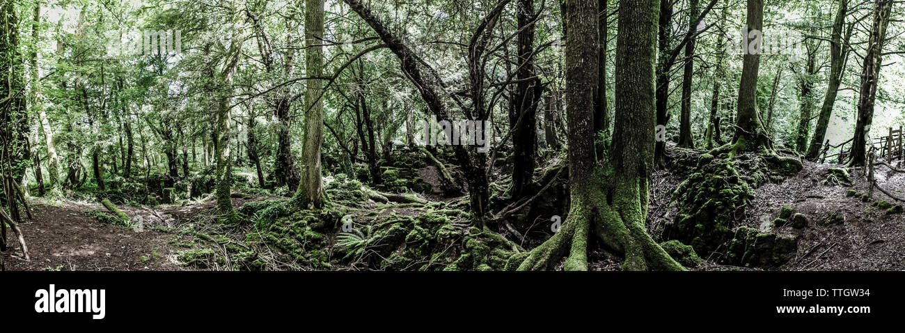 Scowle hi-res stock photography and images - Alamy