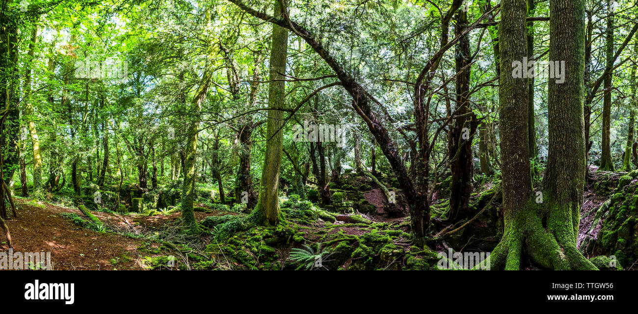 Scowle hi-res stock photography and images - Alamy