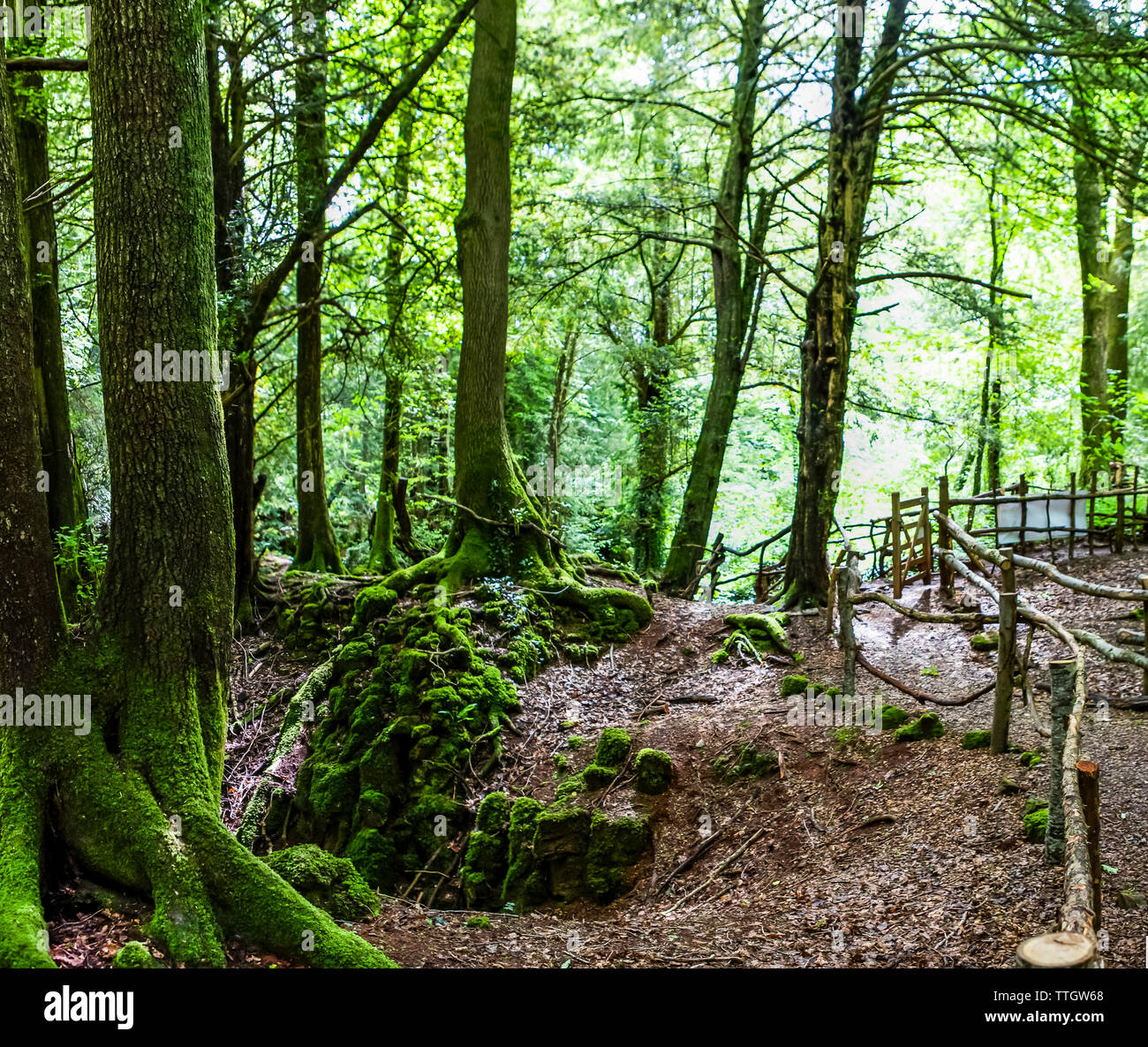 Scowle hi-res stock photography and images - Alamy