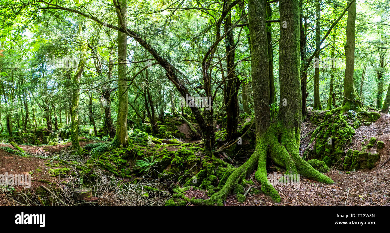 Scowle hi-res stock photography and images - Alamy