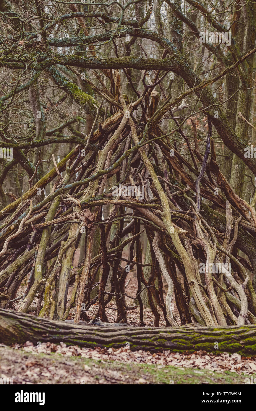 Hut Made Of Branches High Resolution Stock Photography and Images - Alamy