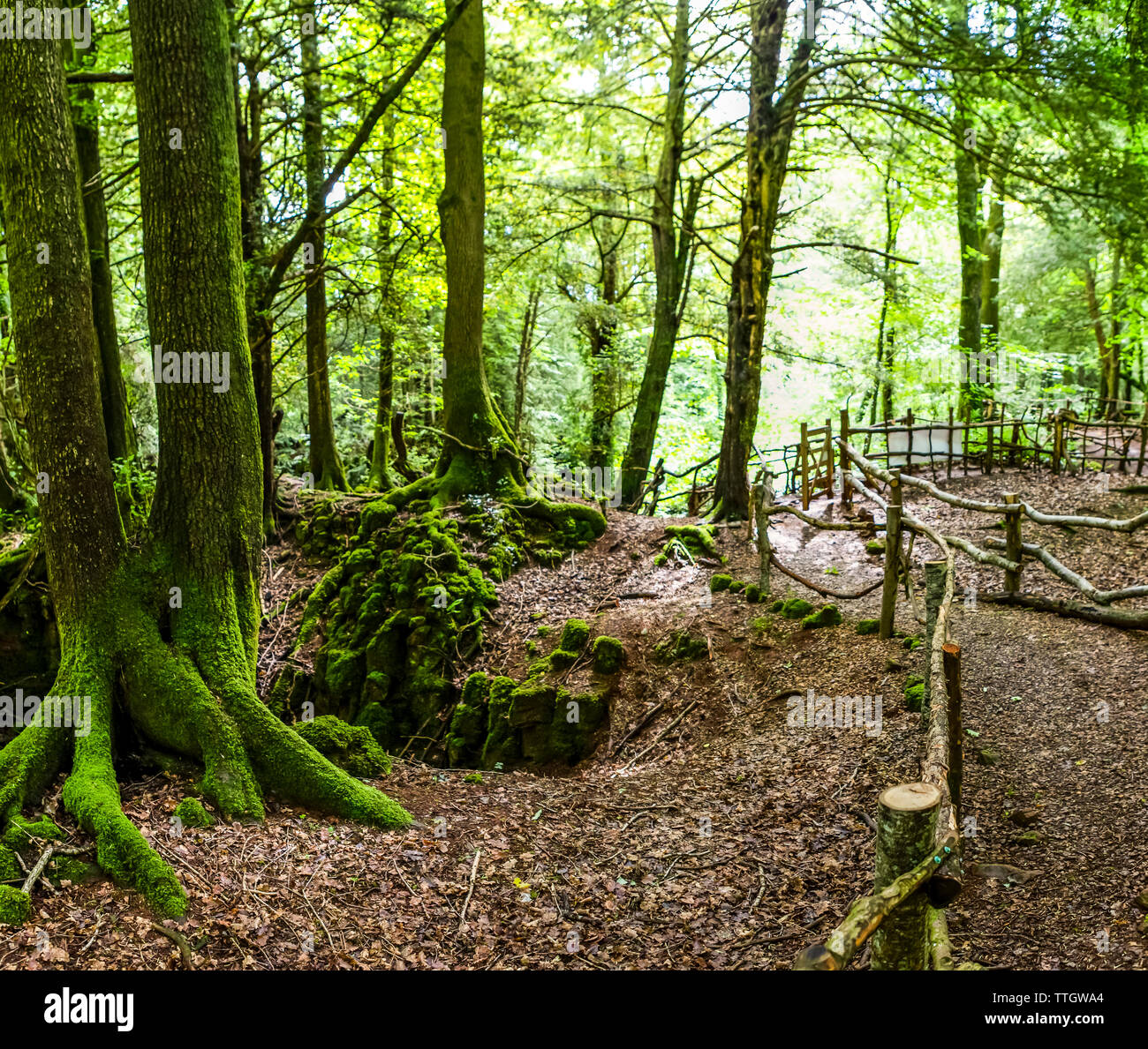 Scowle hi-res stock photography and images - Alamy