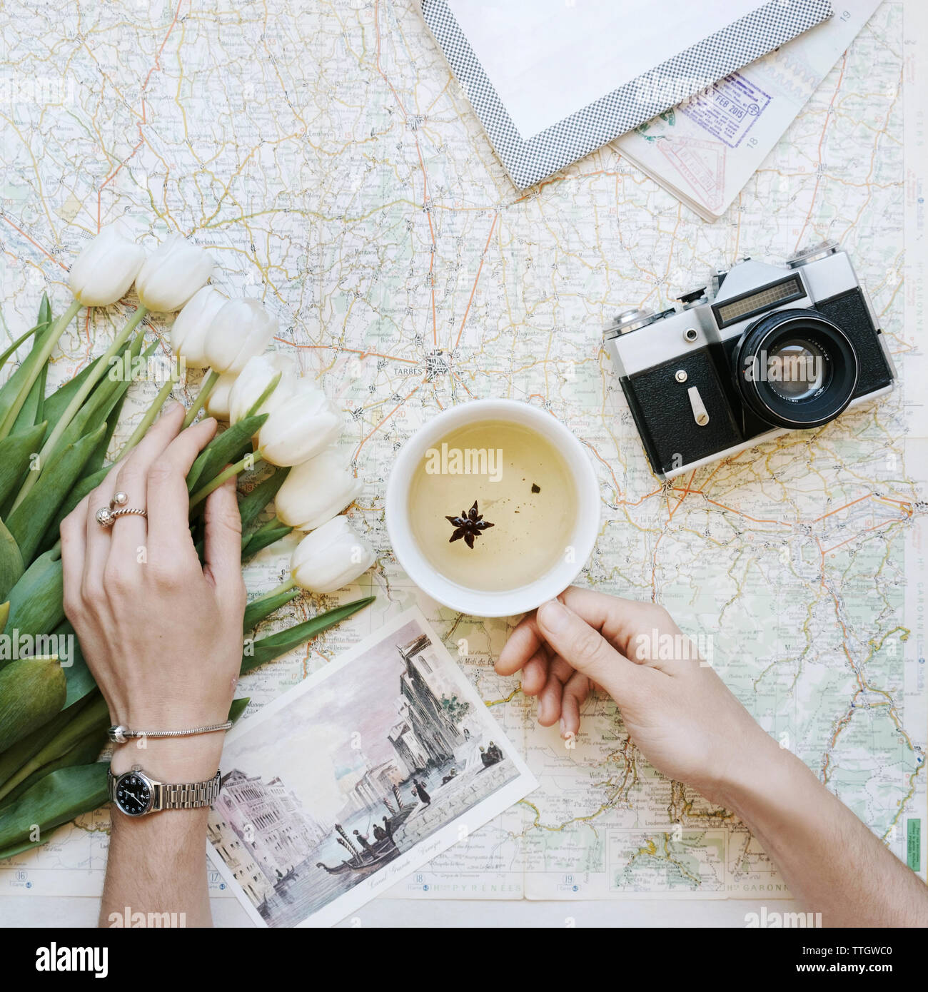 Plans blossom hi-res stock photography and images - Alamy