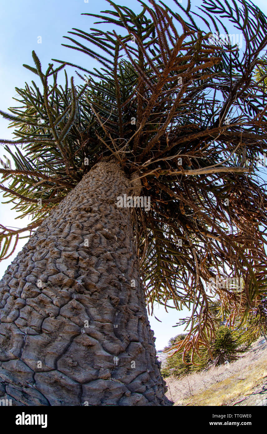 Southern argentina landscape hi-res stock photography and images - Alamy