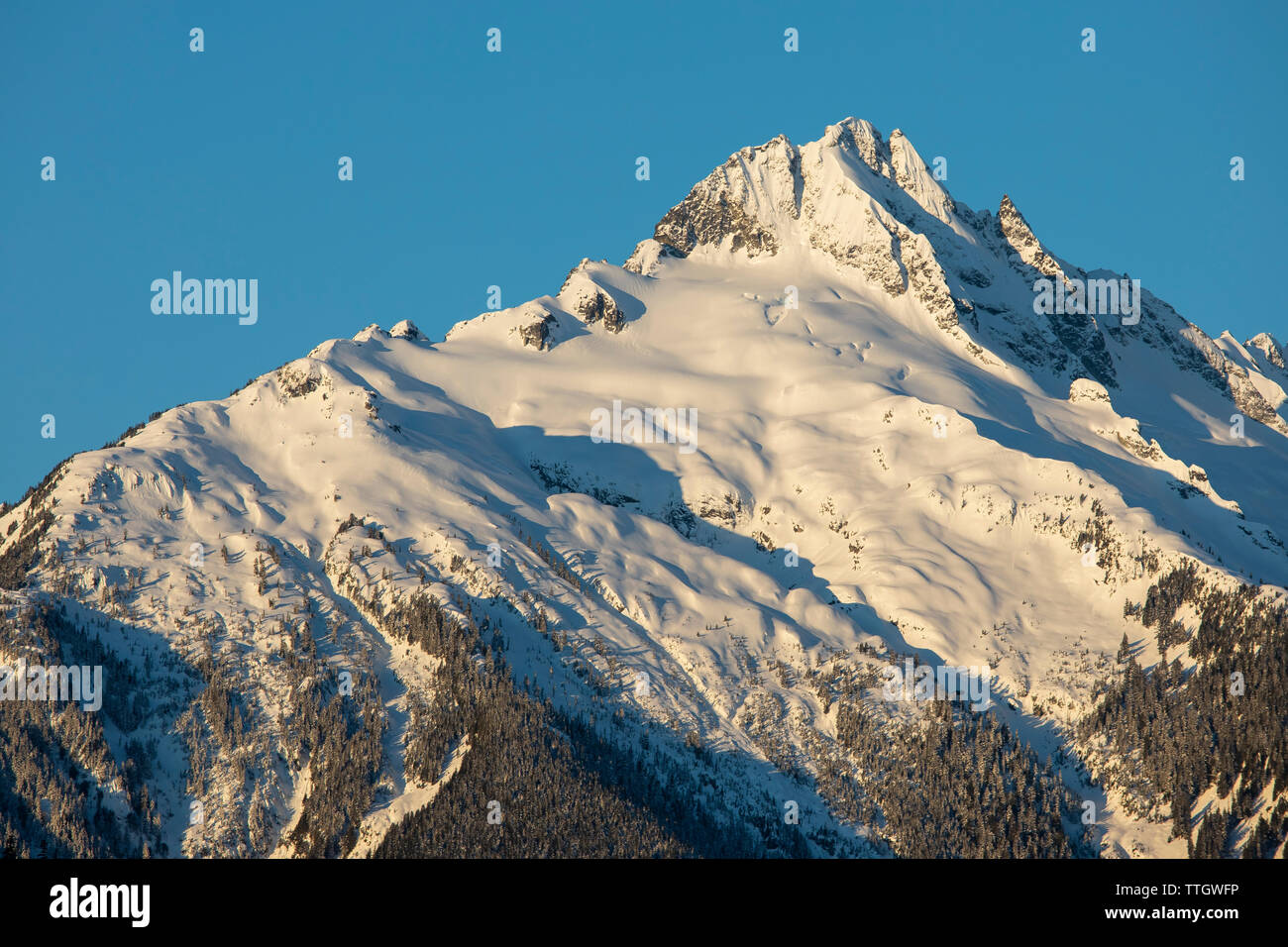 Alpha range hi-res stock photography and images - Alamy
