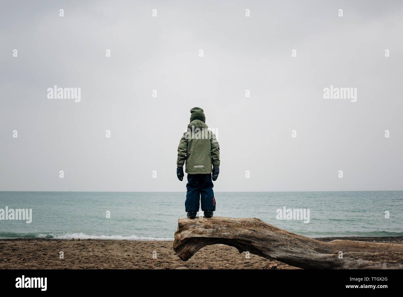young boy aged 6 looking out to the sea standing on a log at the beach ...
