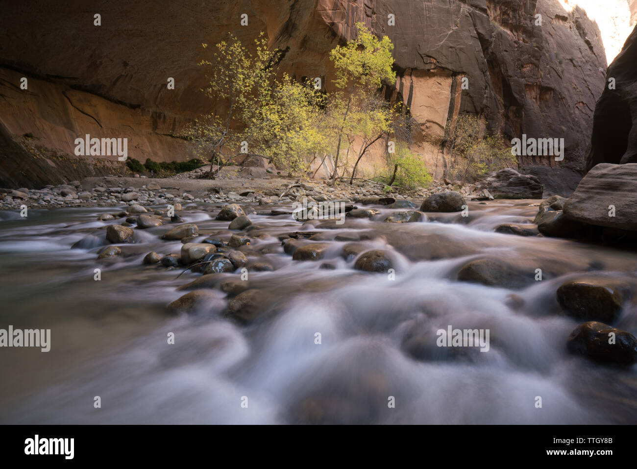 Desert in fall hi-res stock photography and images - Alamy