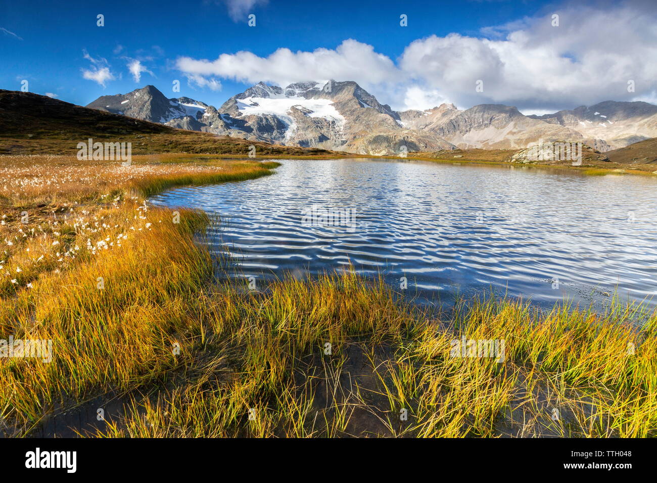 Alpine lake, Val Dal Bugliet, Engadine, Switzerland Stock Photo - Alamy