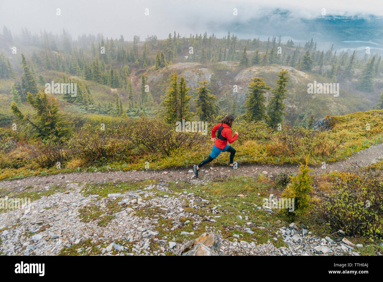 Trail Runner Sprinting on Single Track in Alpine Stock Photo - Alamy