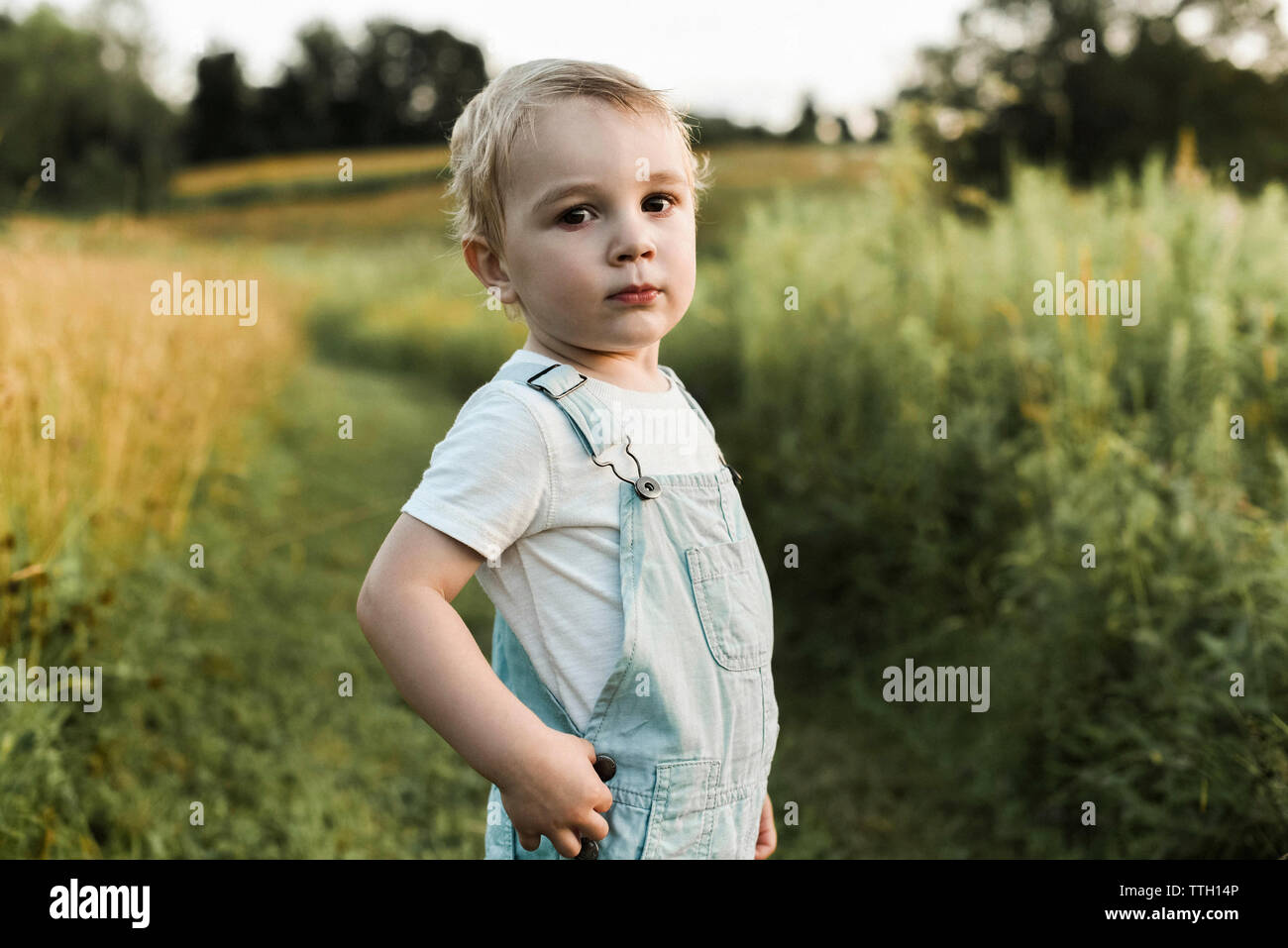 Cute field hi-res stock photography and images - Alamy