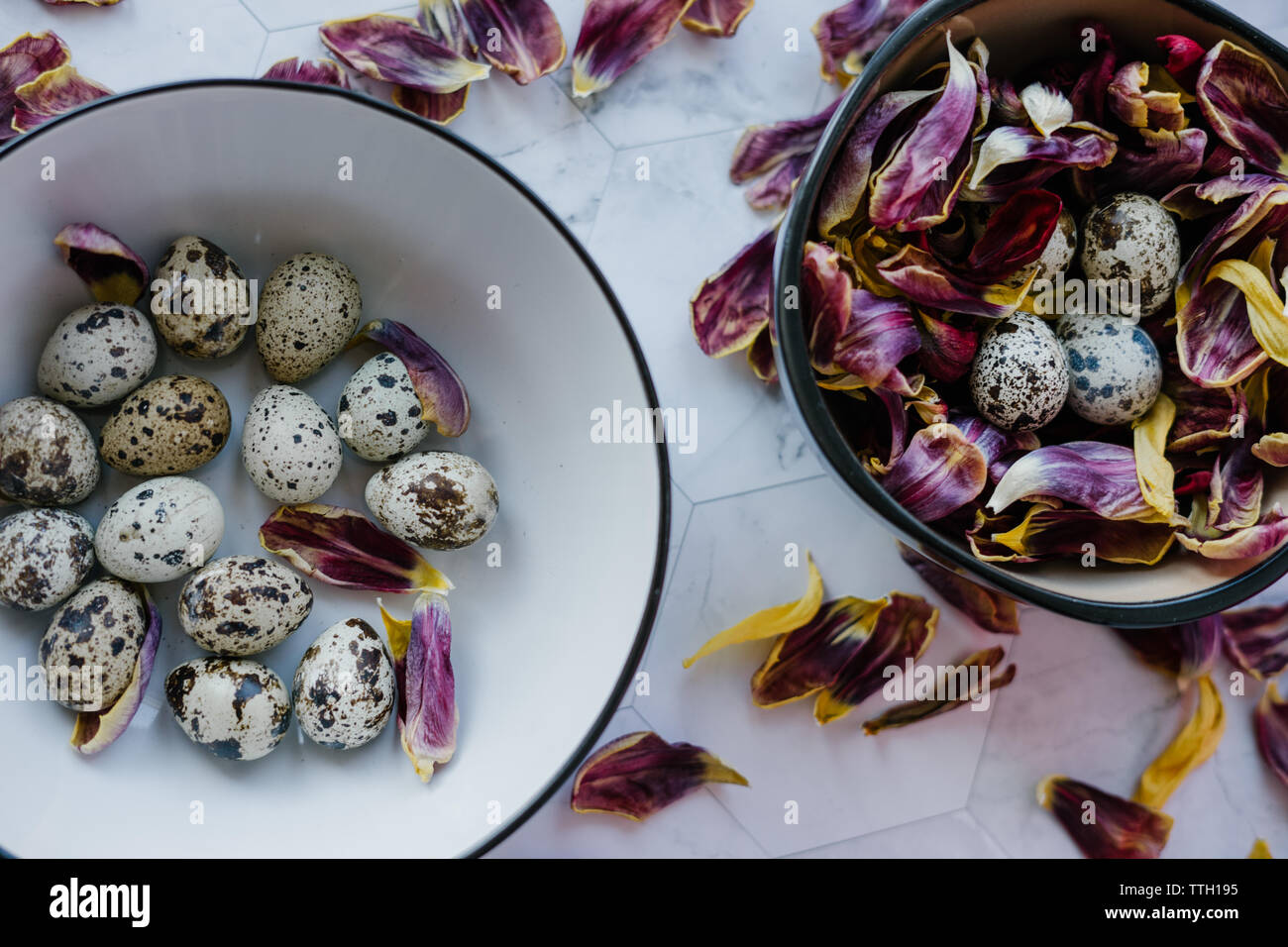 easter food photo with quail eggs on a marble table eco farm products ...