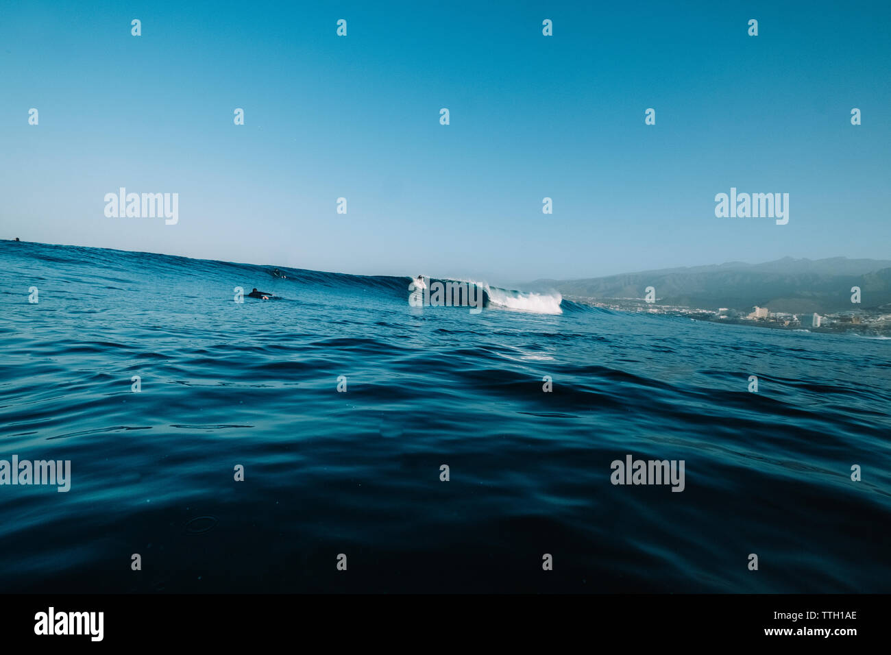 Pulled-back view of a perfect wave breaking and a surfer paddling Stock ...
