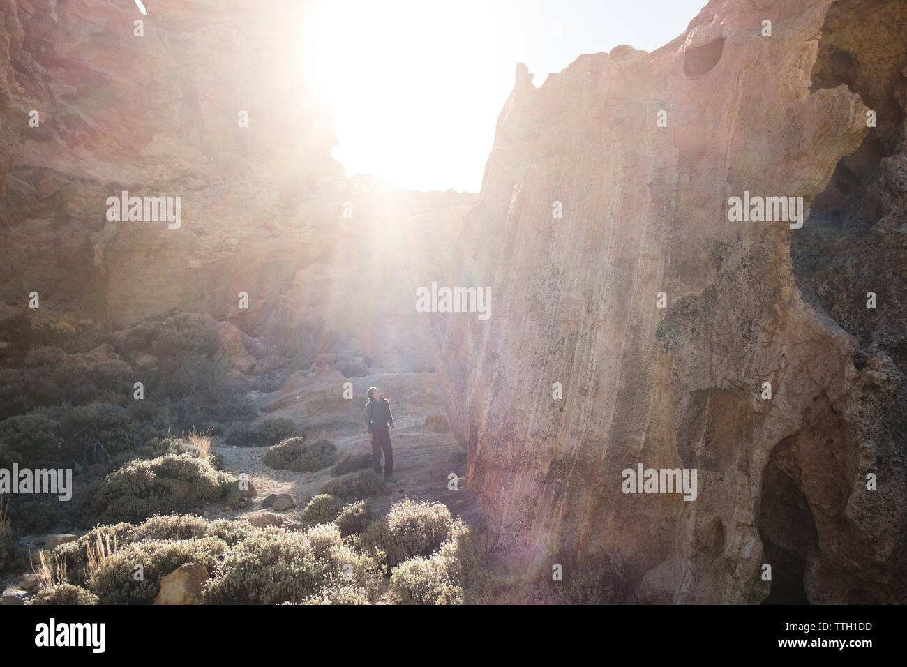 Pulled back view of female climber watching a line Stock Photo - Alamy