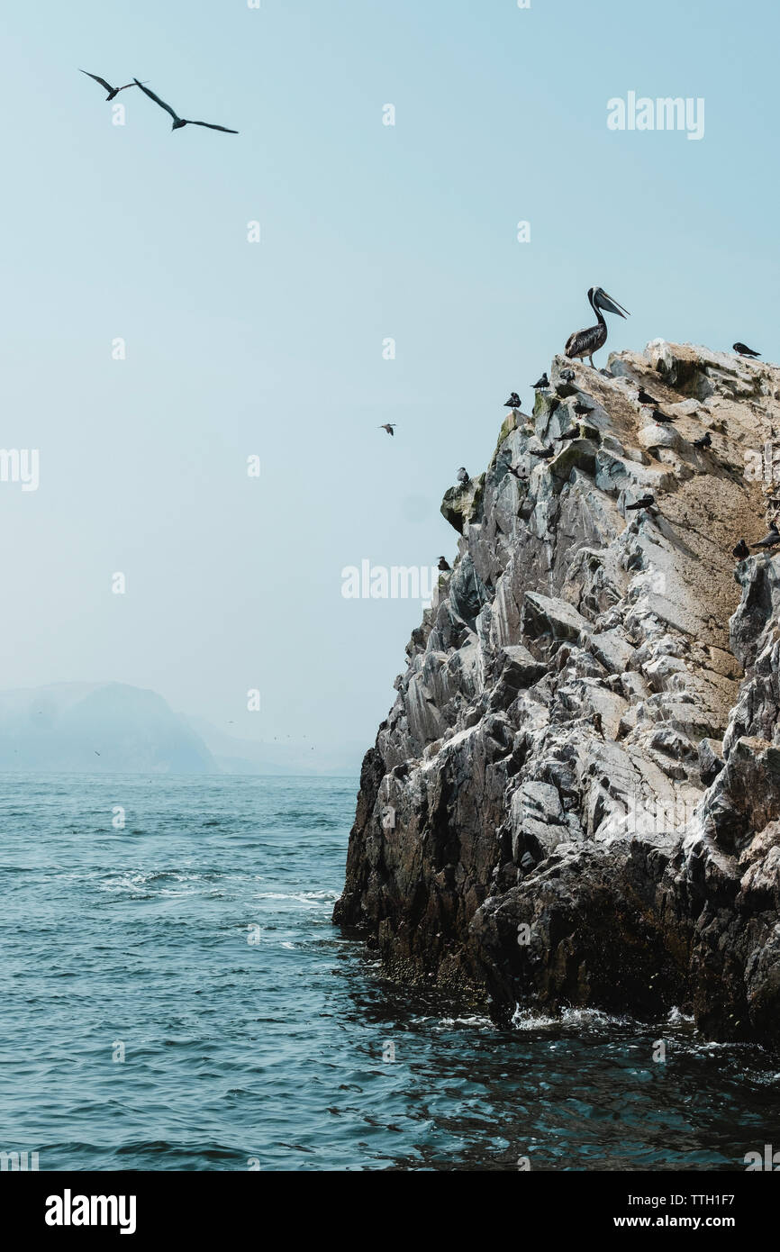 Guano islands hi-res stock photography and images - Alamy