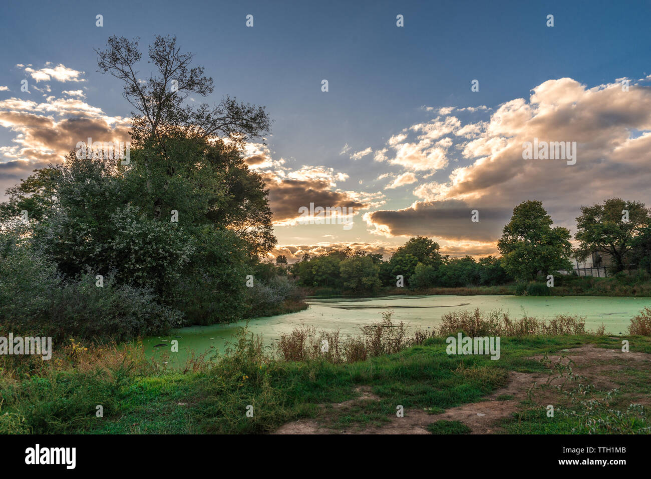 Dirty park hi-res stock photography and images - Alamy