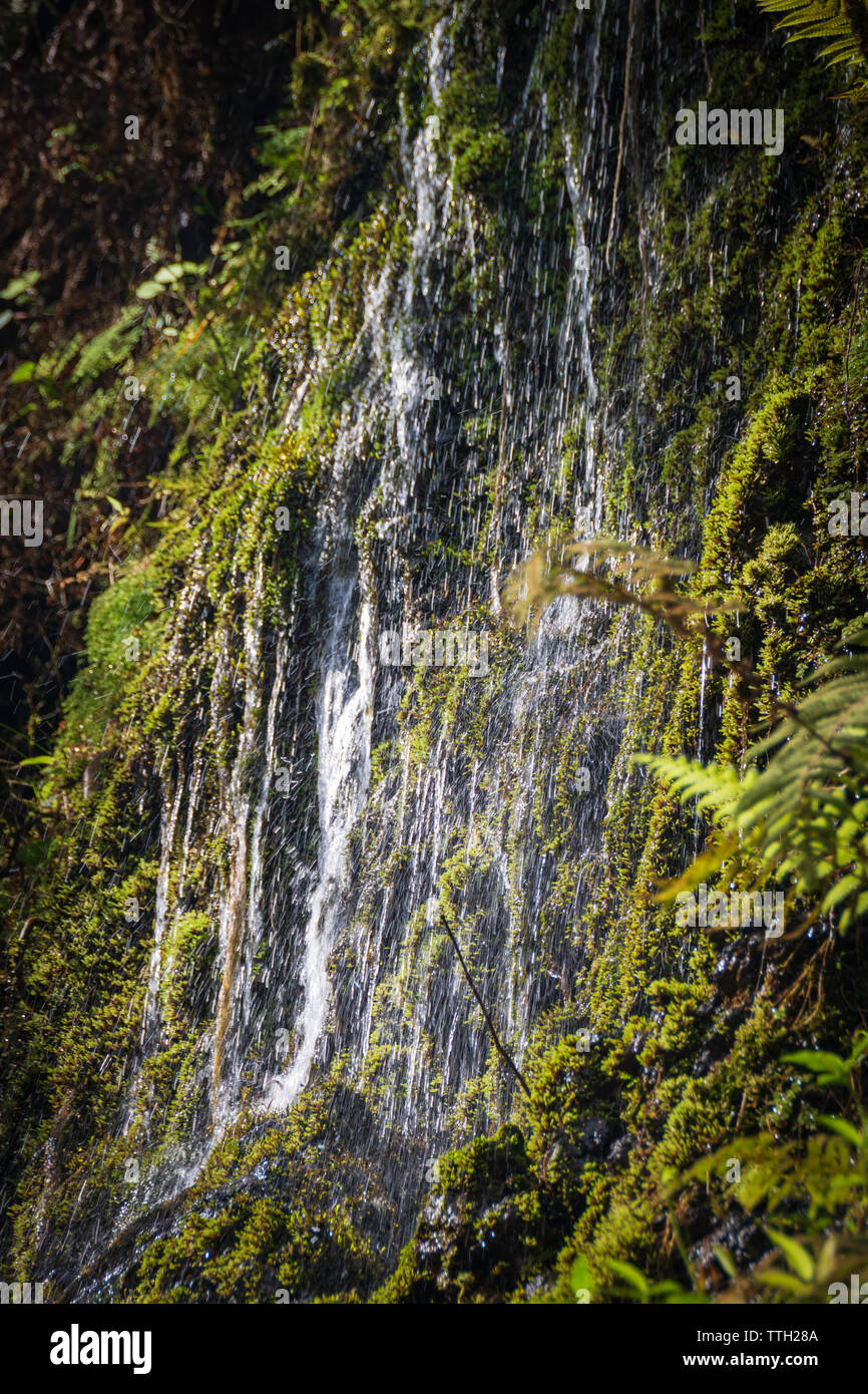 Water running down a tropical rock creating a small waterfall on the ...
