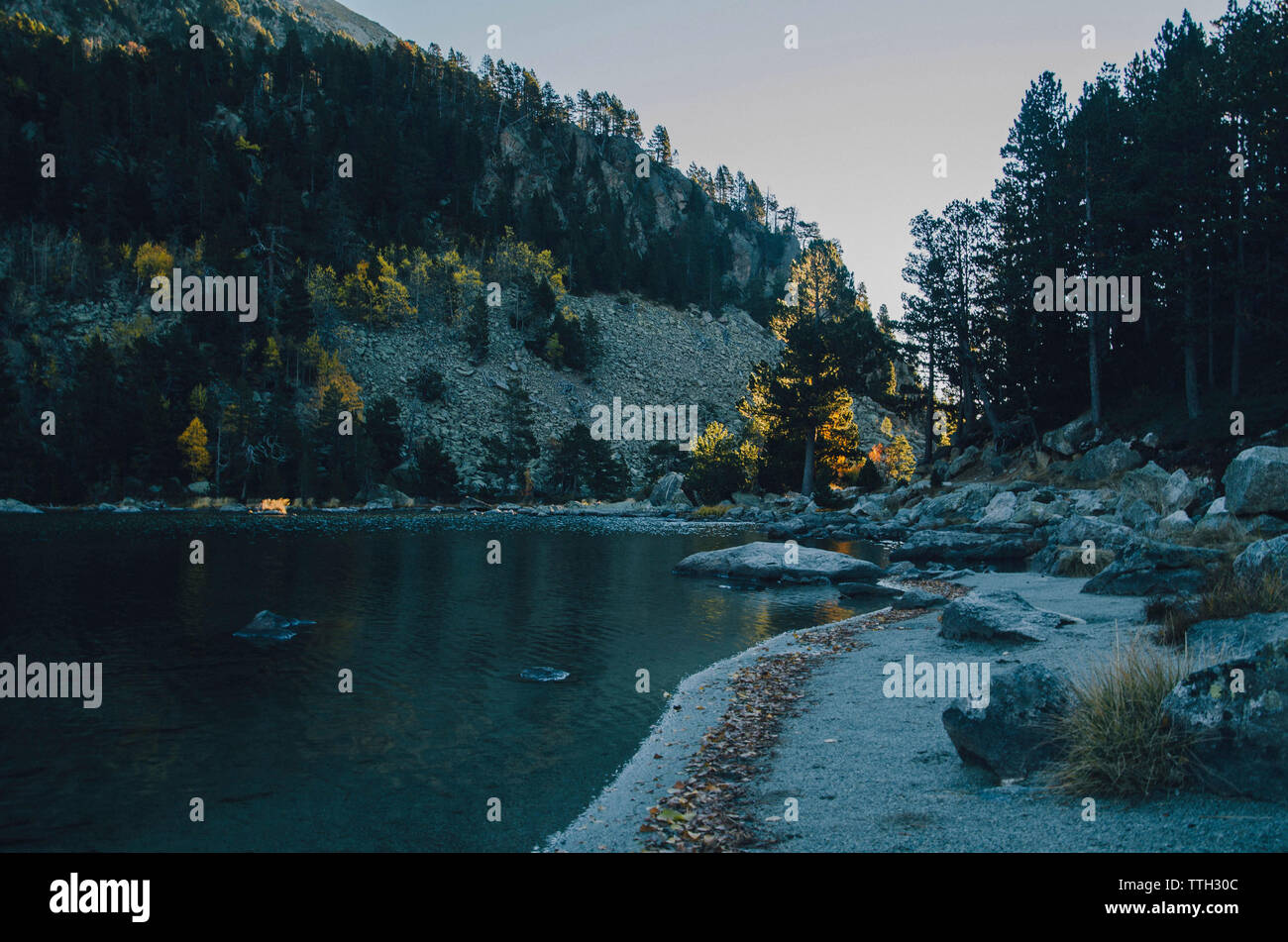 Lakeshore scene hi-res stock photography and images - Alamy