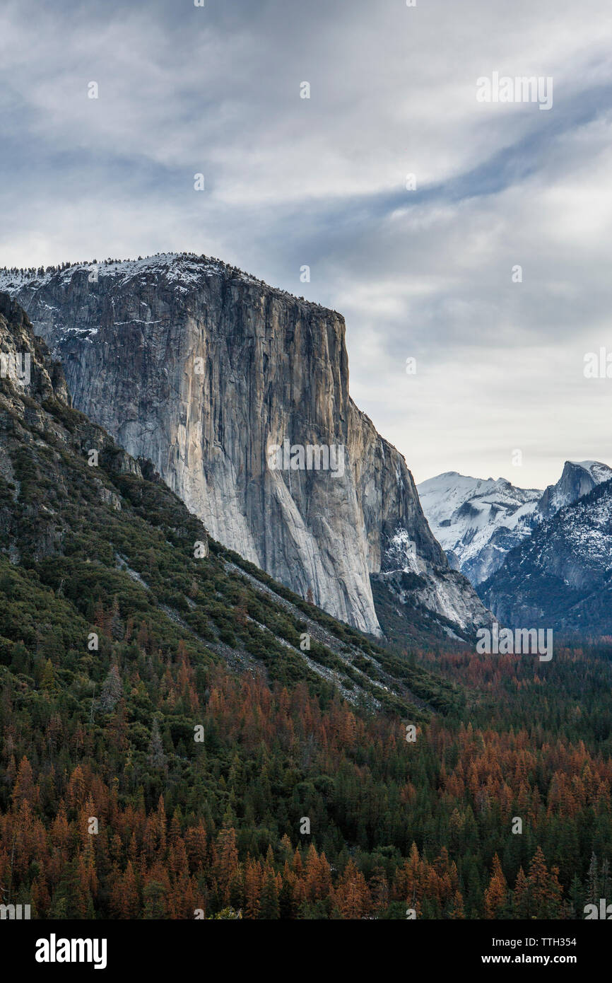 Yosemite el capitan hi-res stock photography and images - Alamy