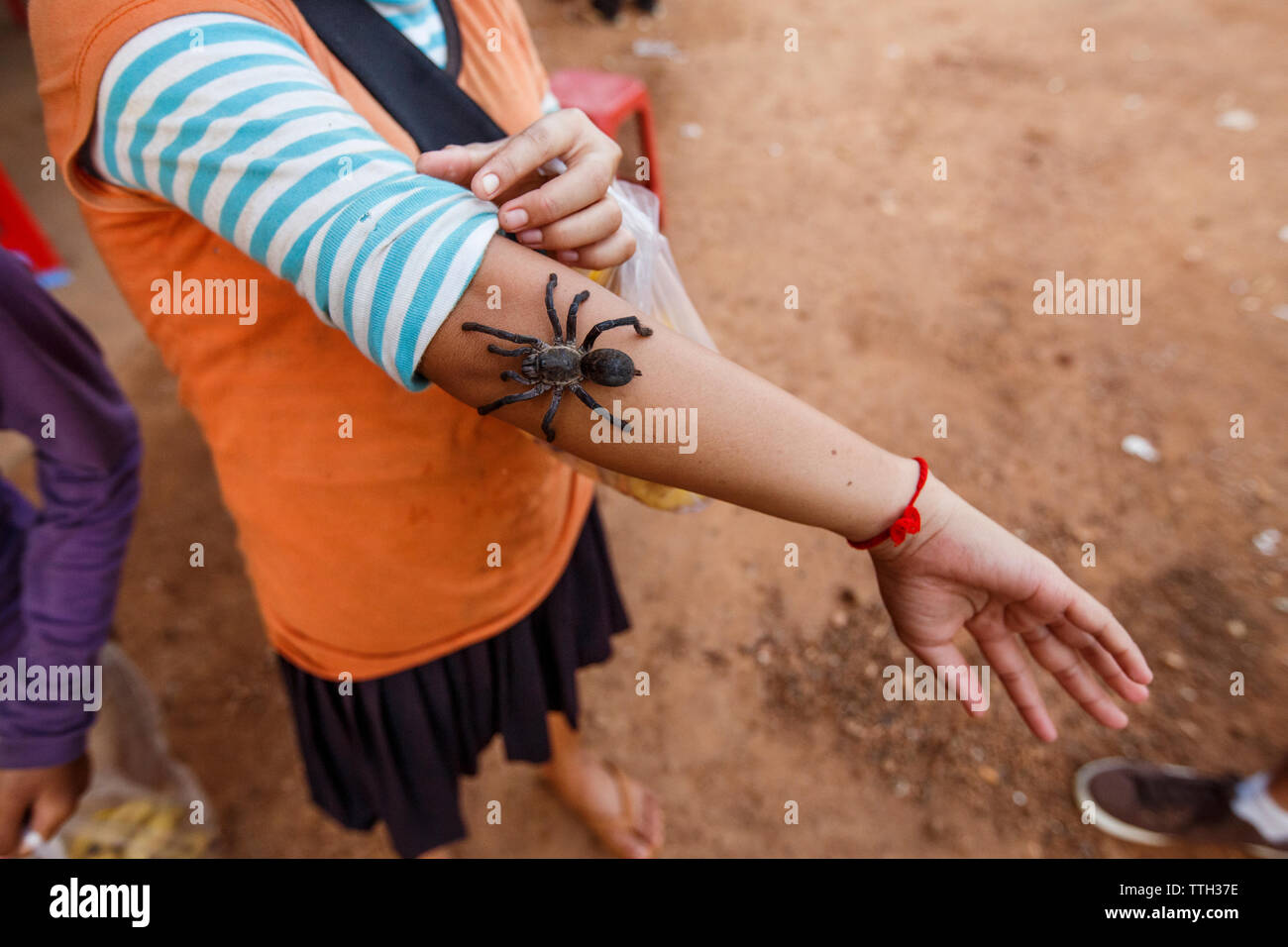 A child shows off a tarantula at a market near Siem Reap, Cambodia ...