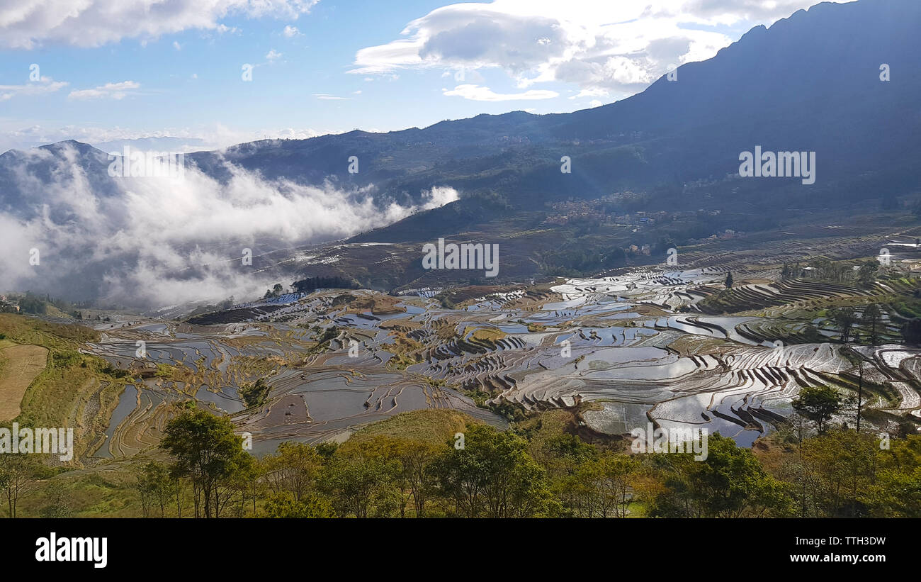 Yuan yang rice fields hi-res stock photography and images - Alamy