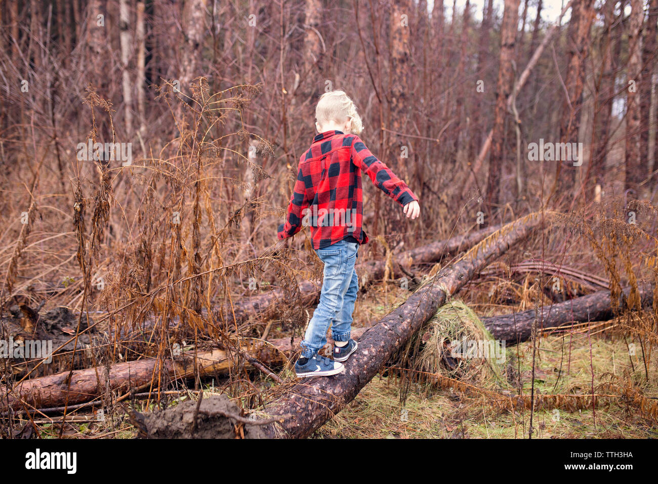 Boy Walking on a Log Stock Photo - Alamy