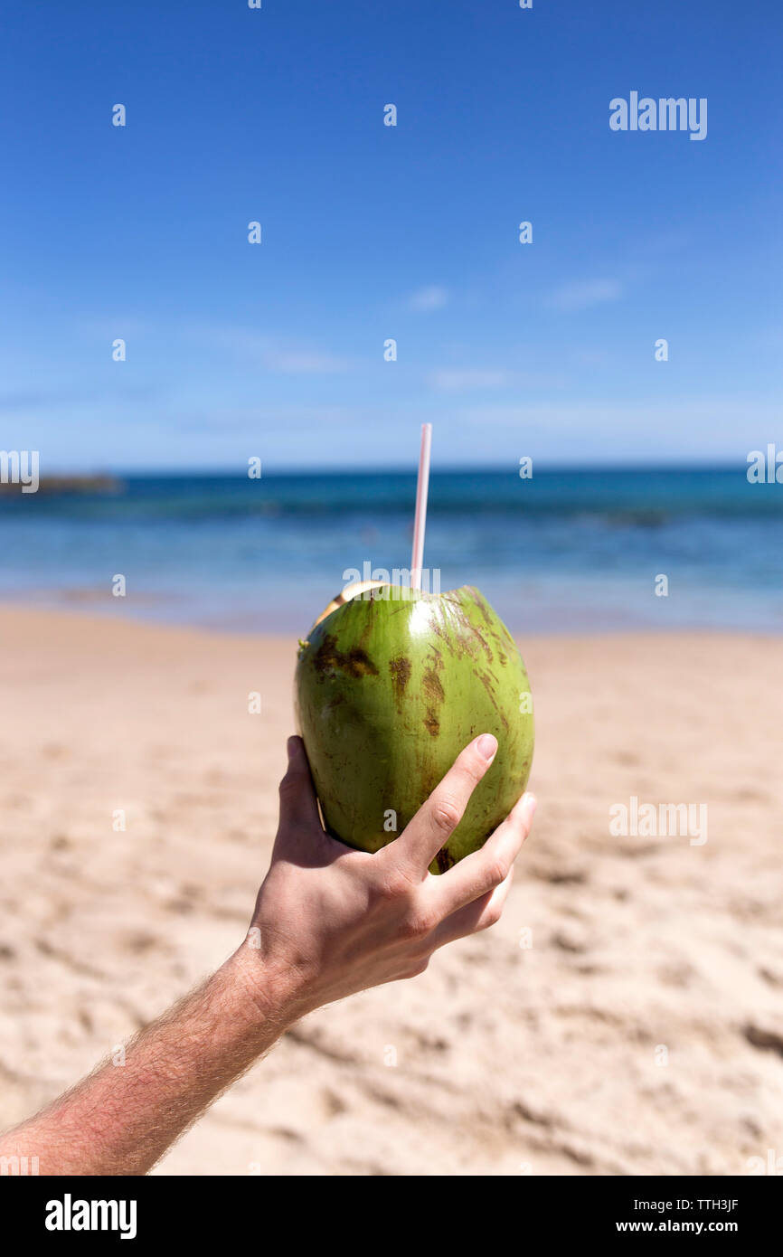 Hand holding coconut on beach hi-res stock photography and images - Alamy